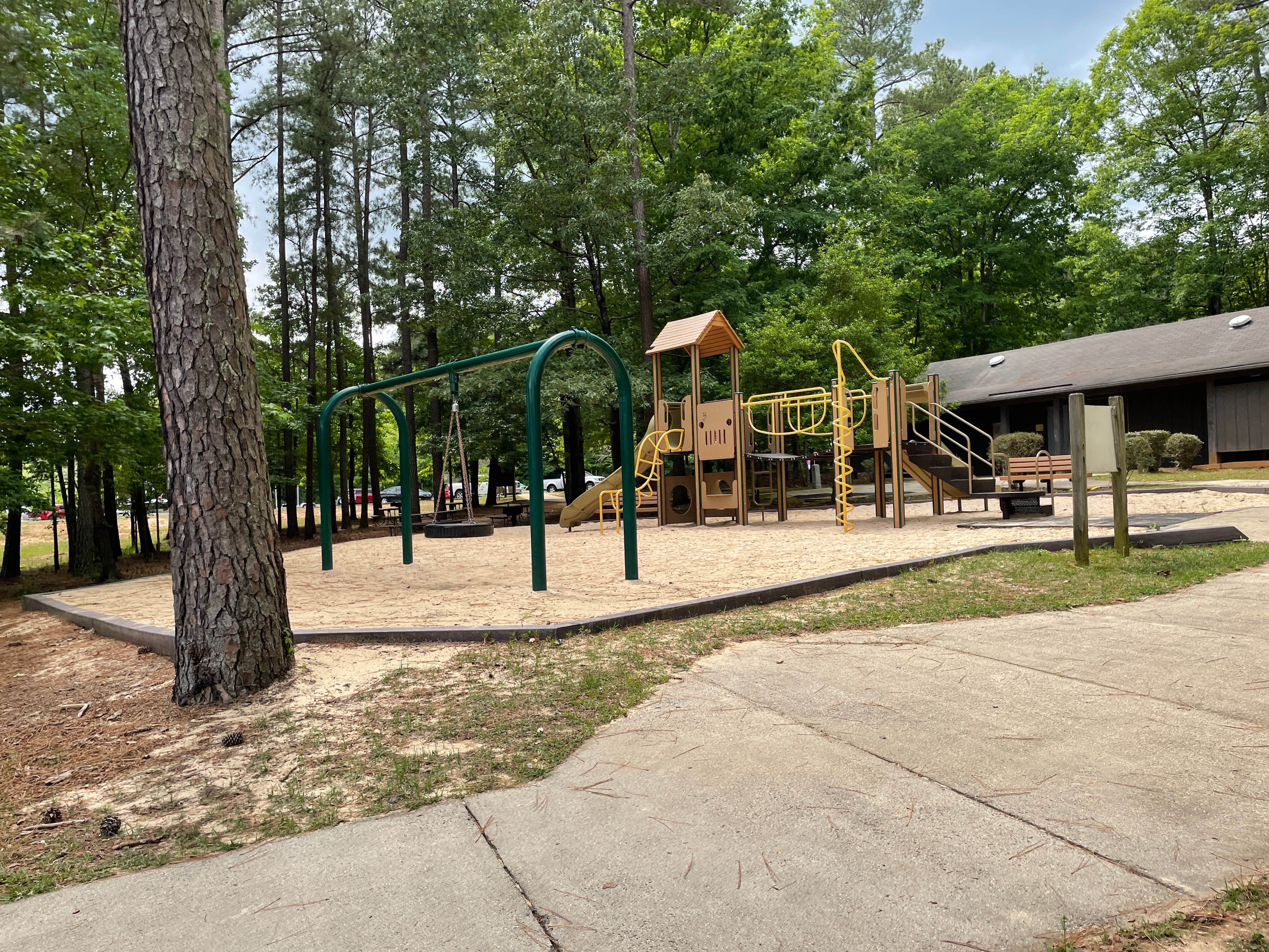 Falls Lake/Holly Point | The Dyrt