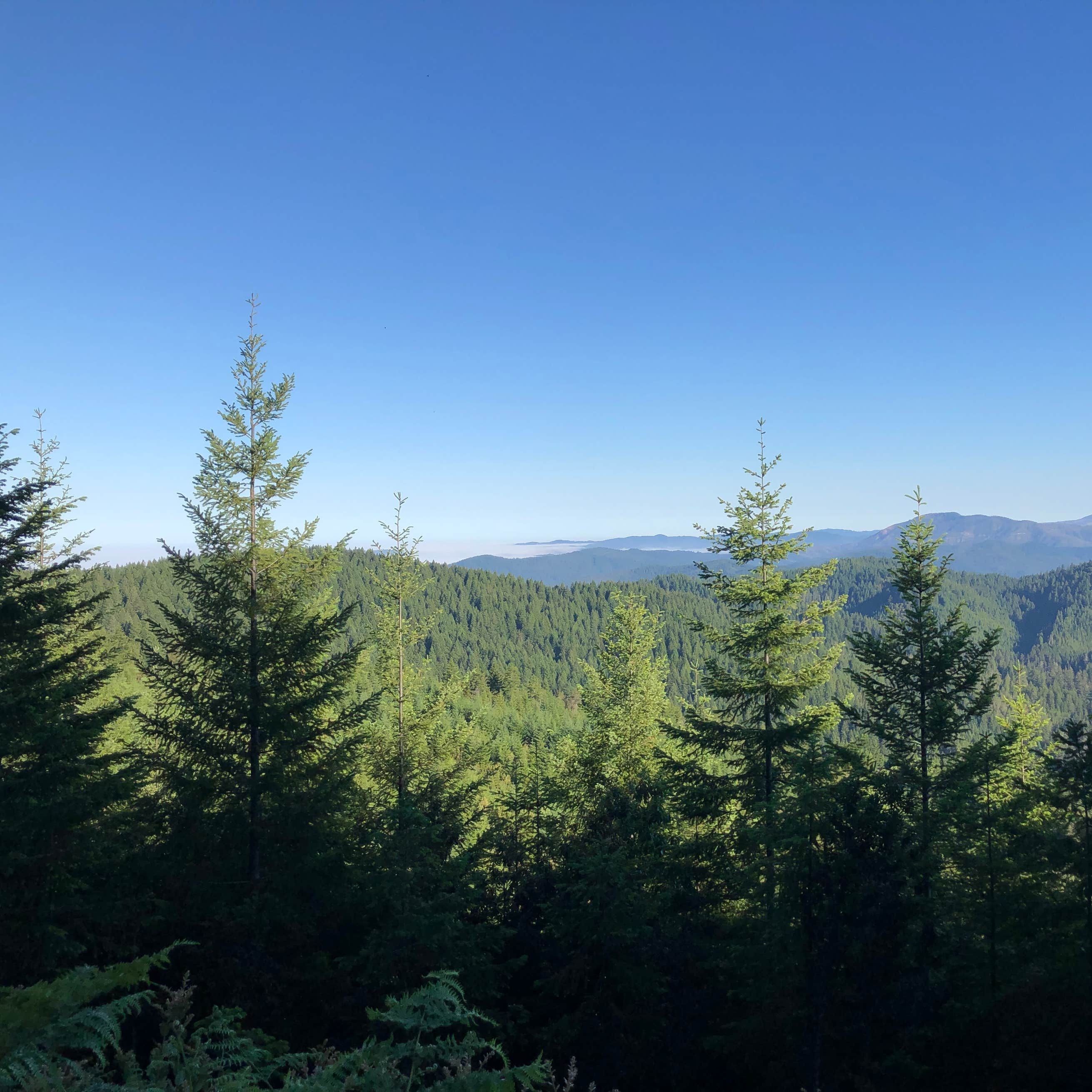 North Fork Campground | Gasquet, California