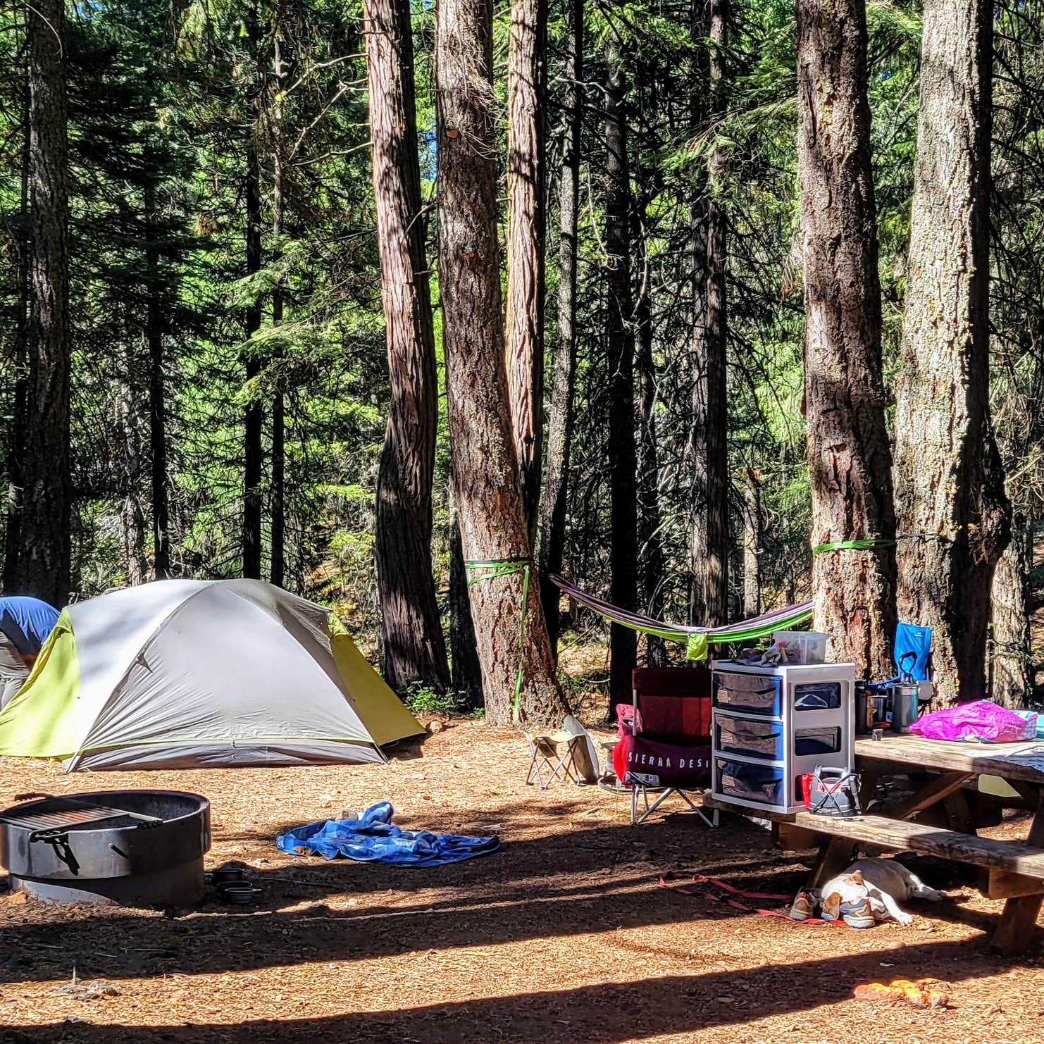 McCumber Reservoir Campground | Shingletown, California