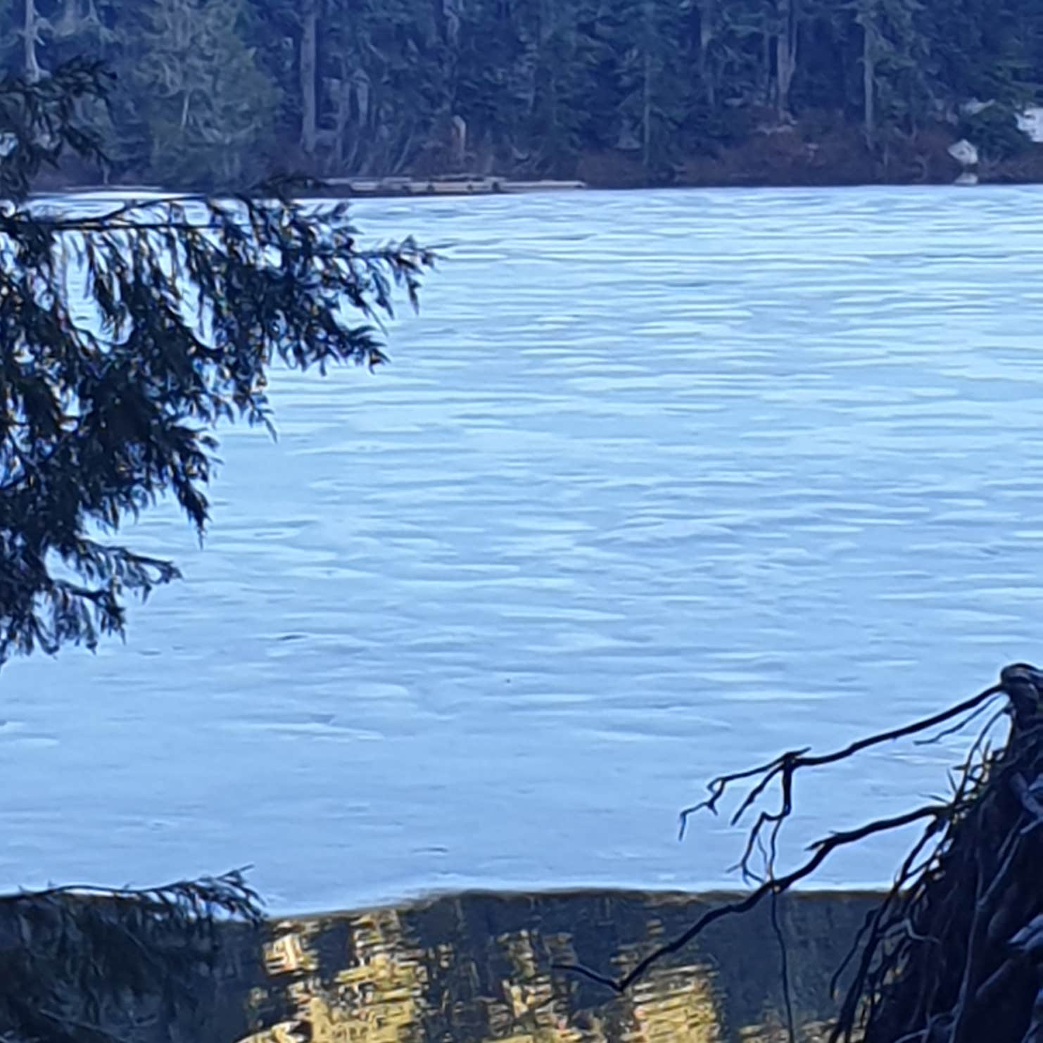 Cora Lake Back Country Camping | Longmire, Washington