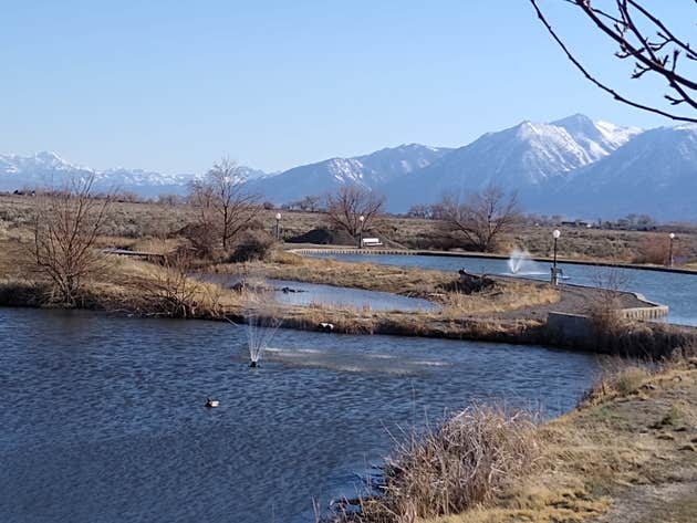 Silver City RV Resort Camping | The Dyrt