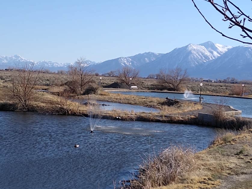 Silver City RV Resort Camping | The Dyrt