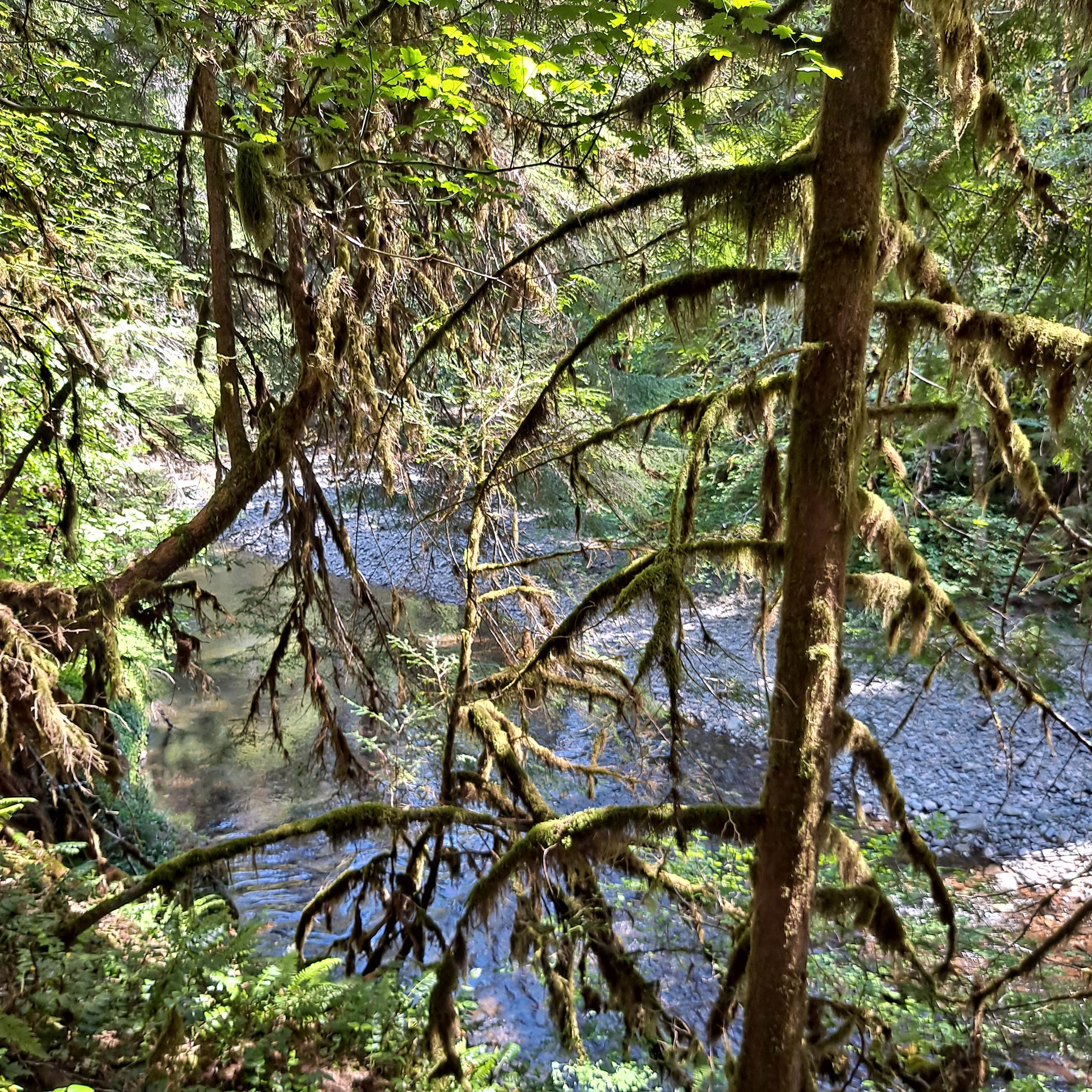 House Rock Campground | Cascadia, Oregon