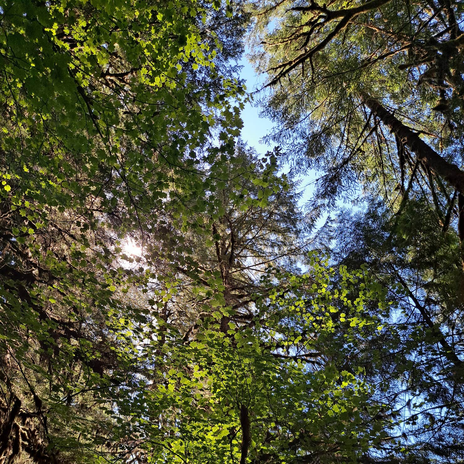 House Rock Campground | Cascadia, Oregon