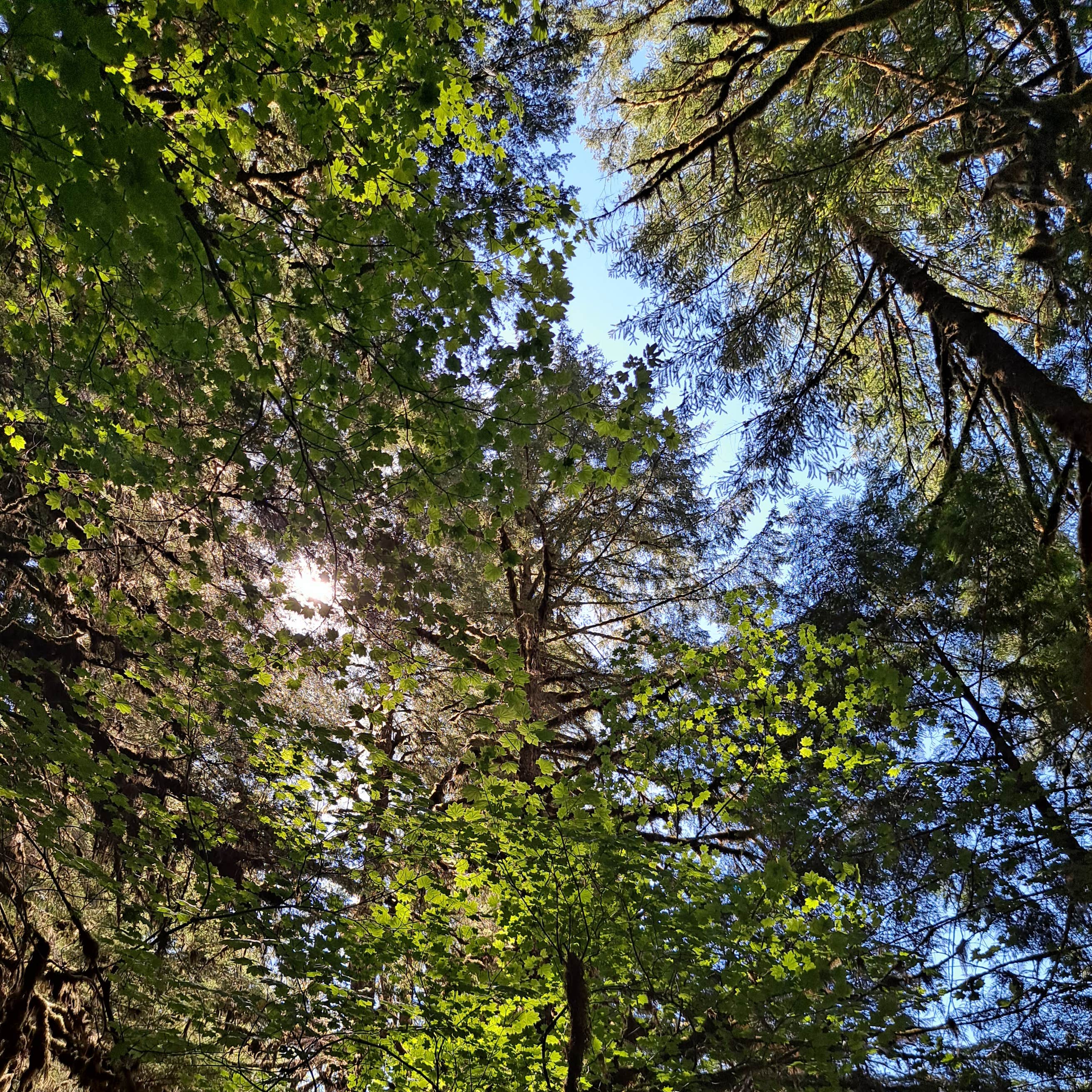 House Rock Campground | Cascadia, Oregon