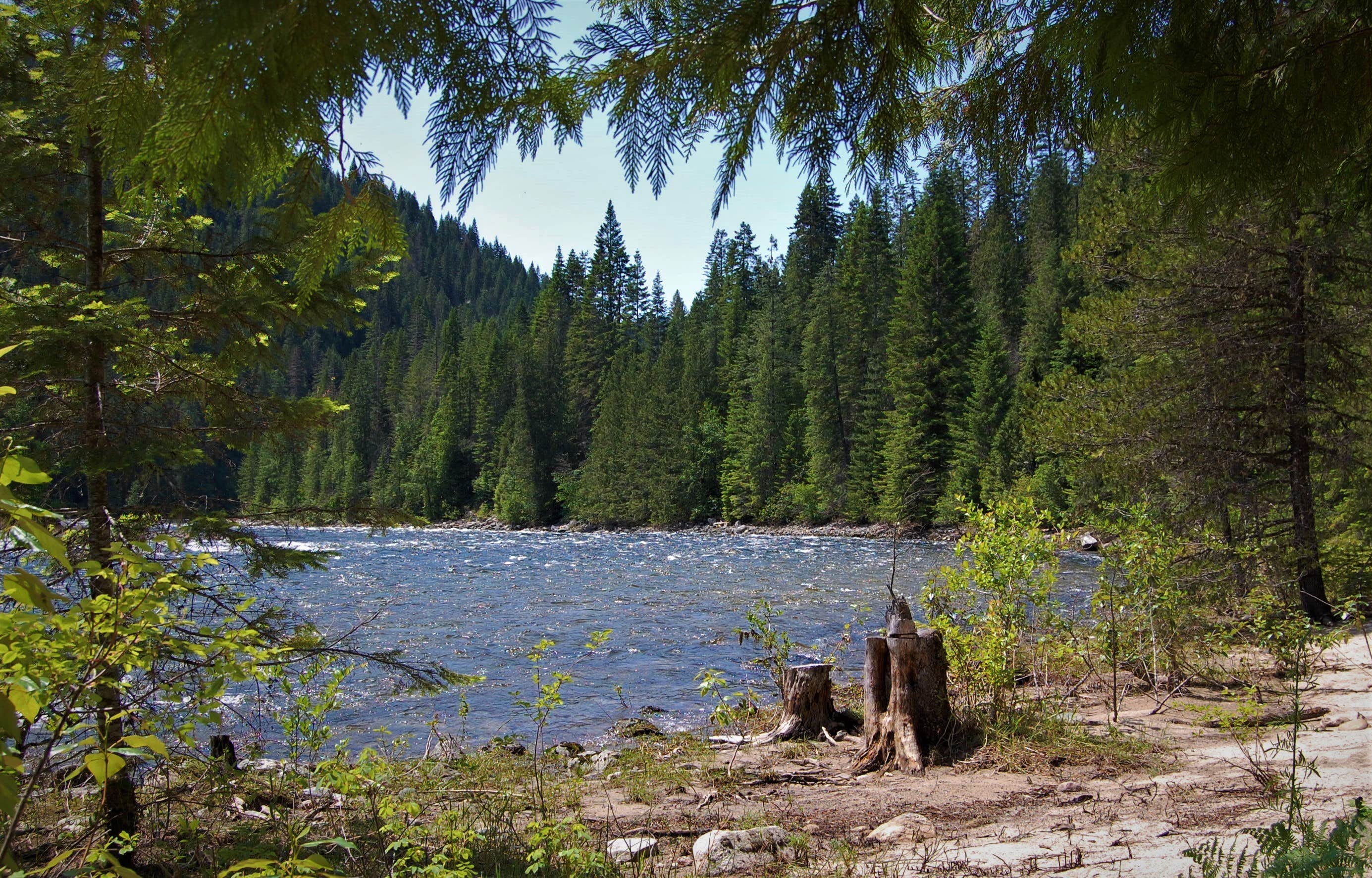 Knife Edge Campground | Kooskia, ID
