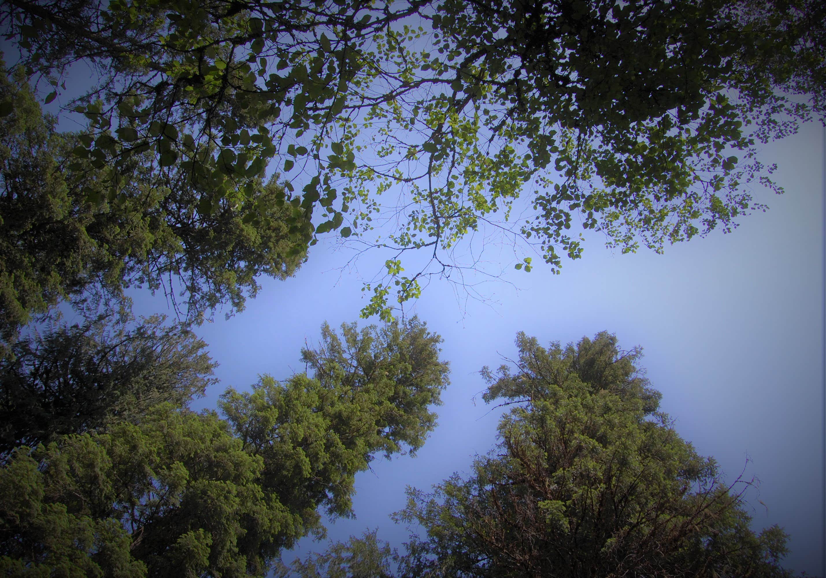 Knife Edge Campground | The Dyrt