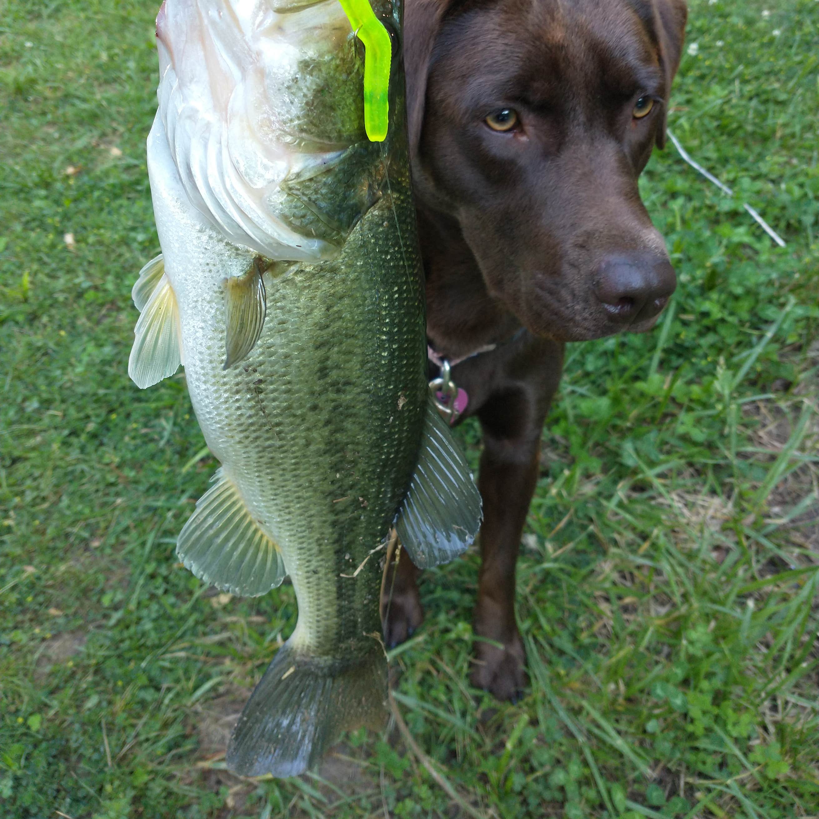 Camp Timber Lake | Roanoke, Indiana