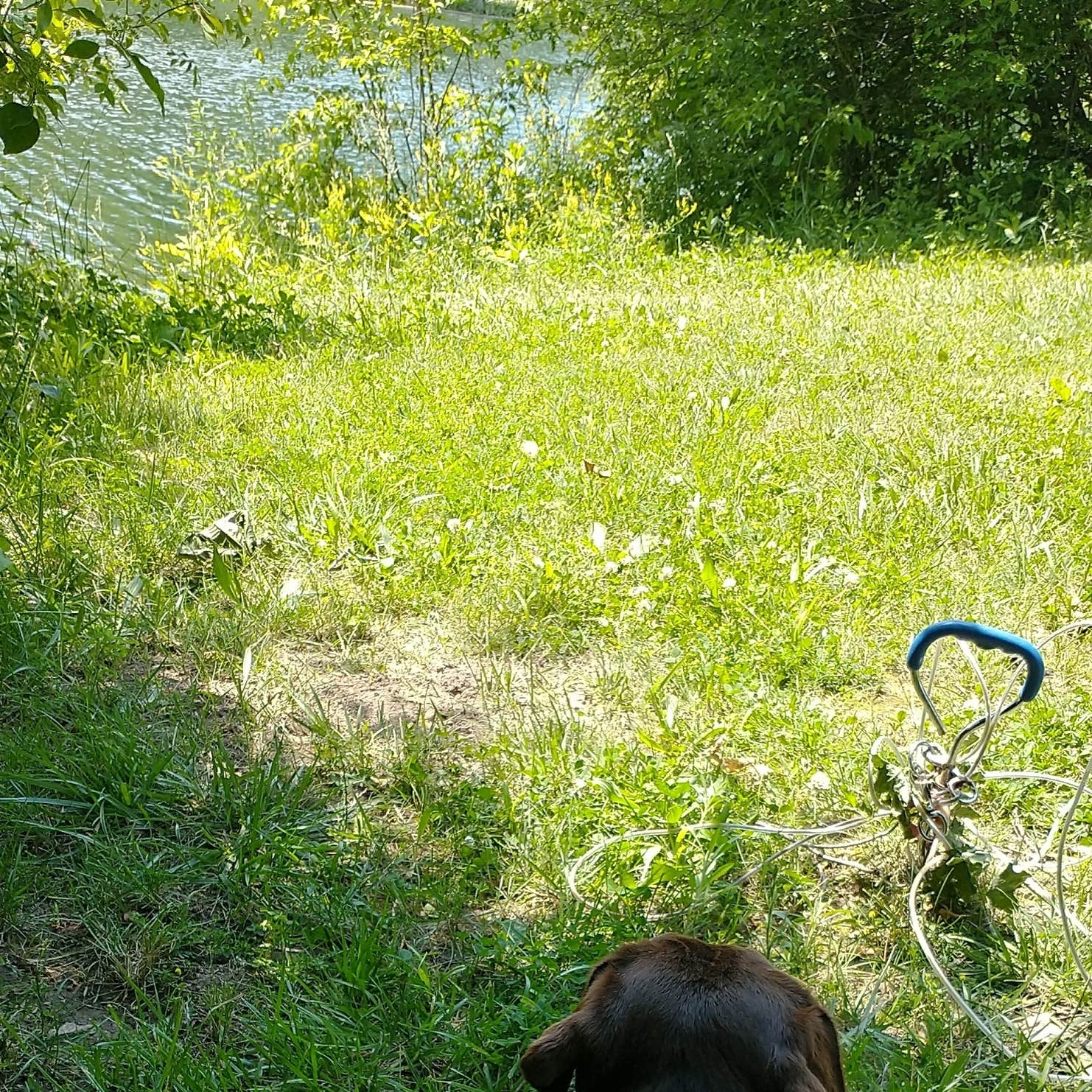 Camp Timber Lake | Roanoke, Indiana