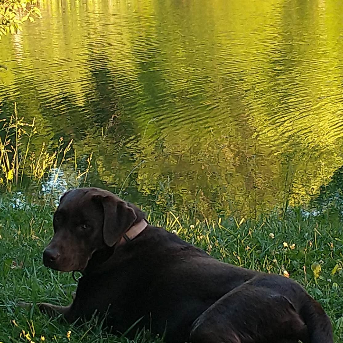 Camp Timber Lake | Roanoke, Indiana