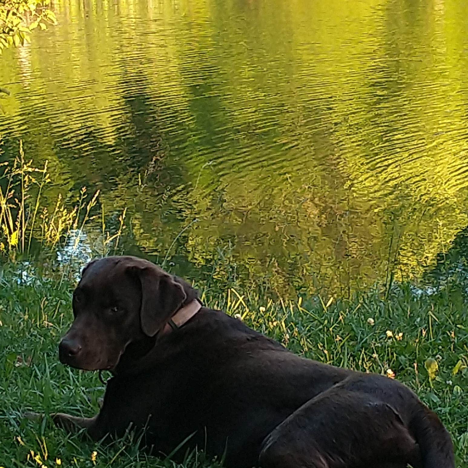 Camp Timber Lake | Roanoke, Indiana