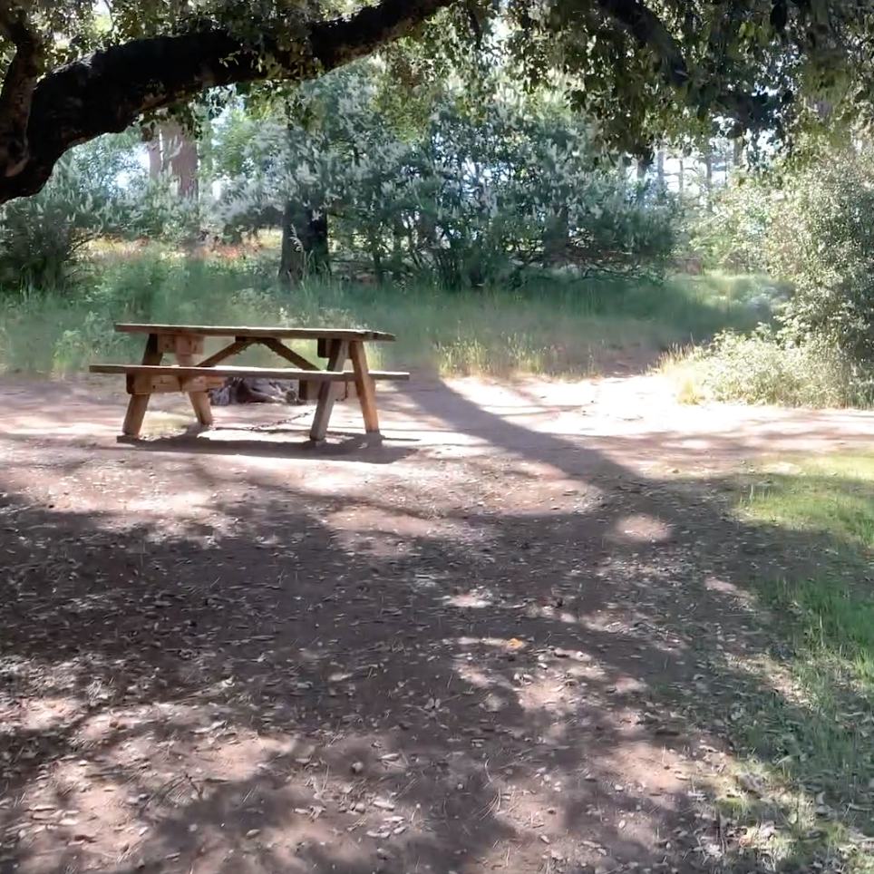 Paso Picacho Campground — Cuyamaca Rancho State Park | Descanso, California