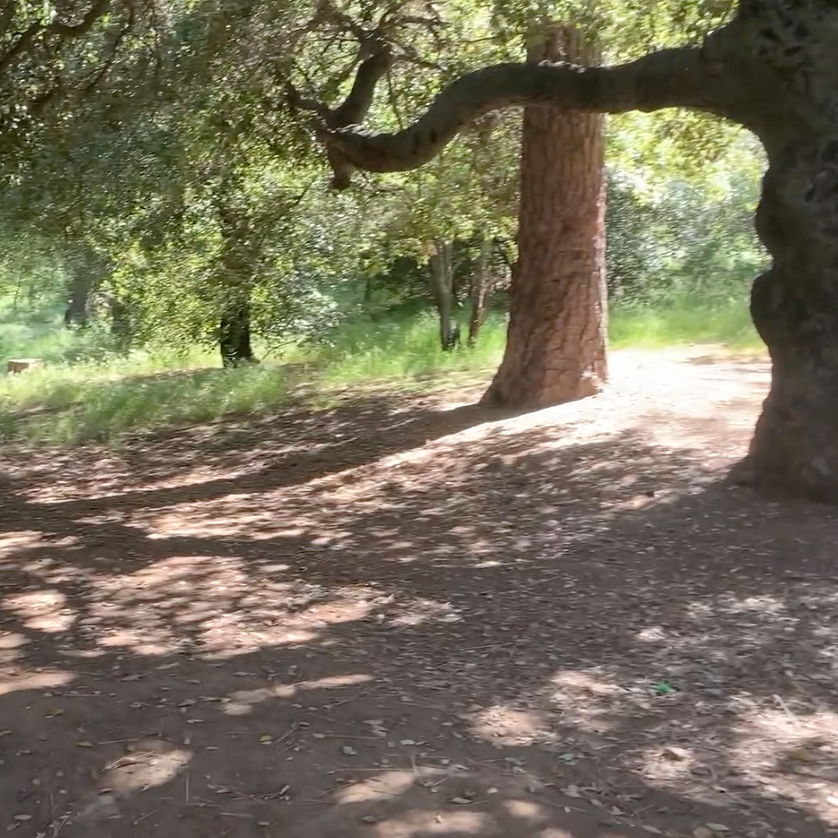 Paso Picacho Campground — Cuyamaca Rancho State Park | Descanso, California