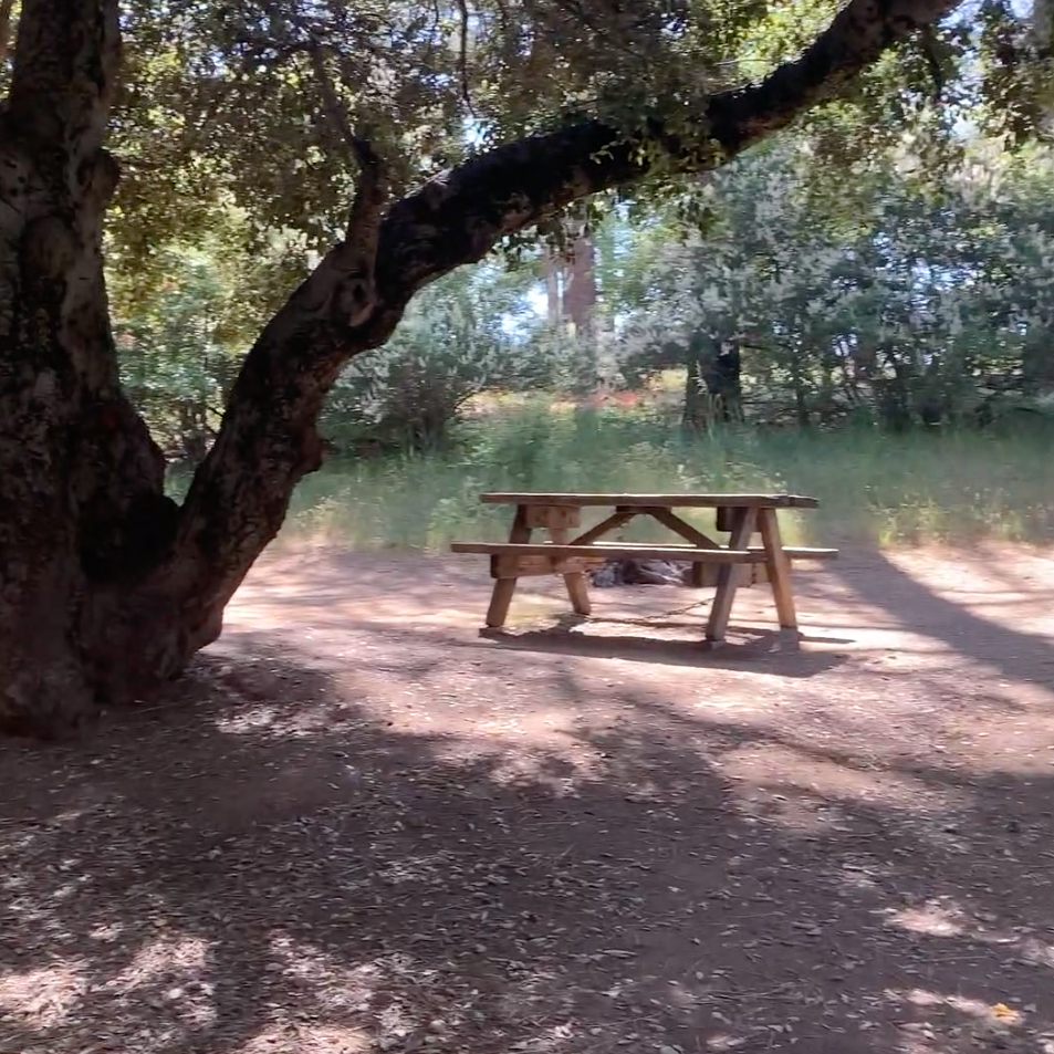 Paso Picacho Campground — Cuyamaca Rancho State Park | Descanso, California