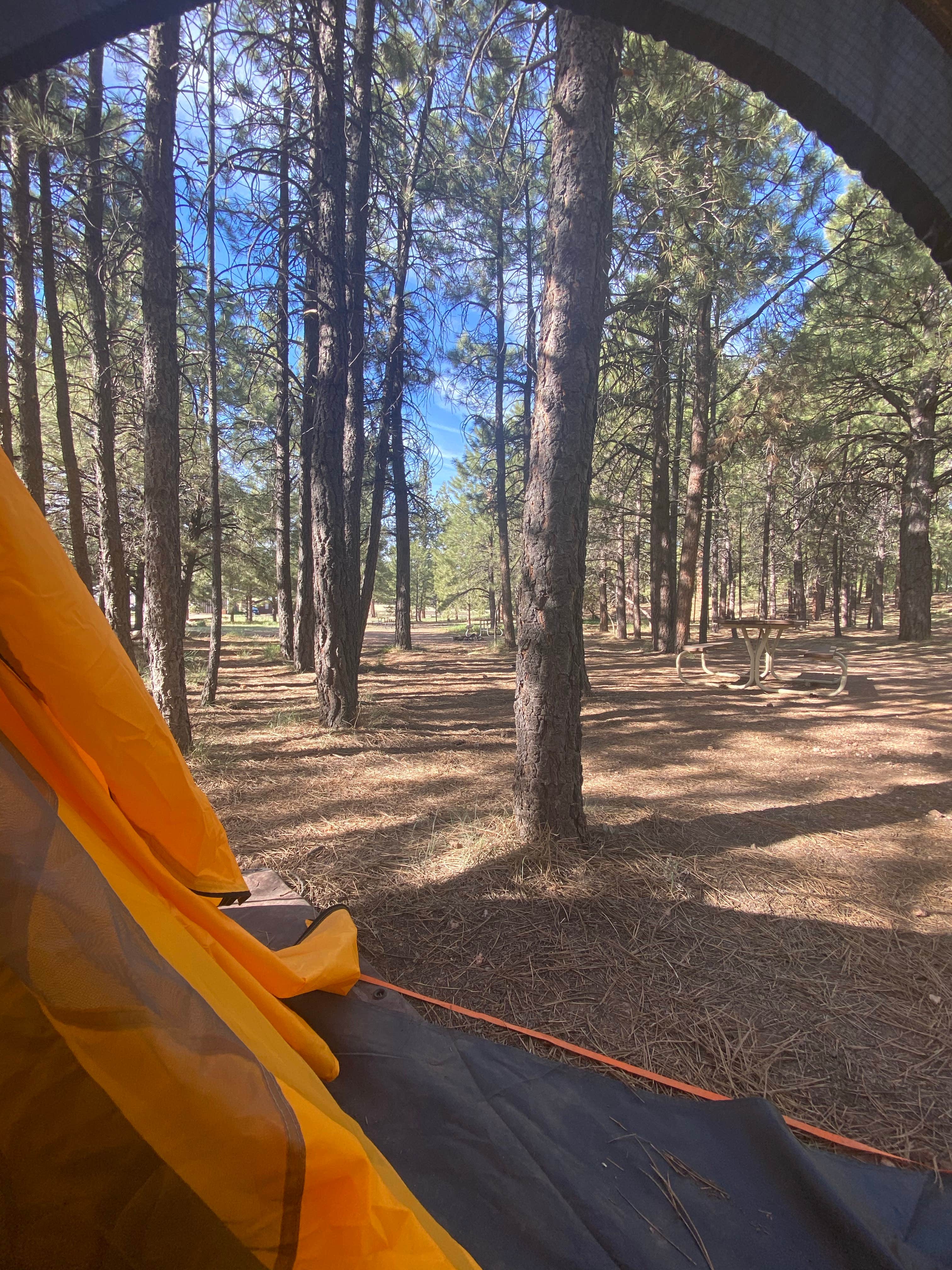 Jacob Lake Campground | The Dyrt