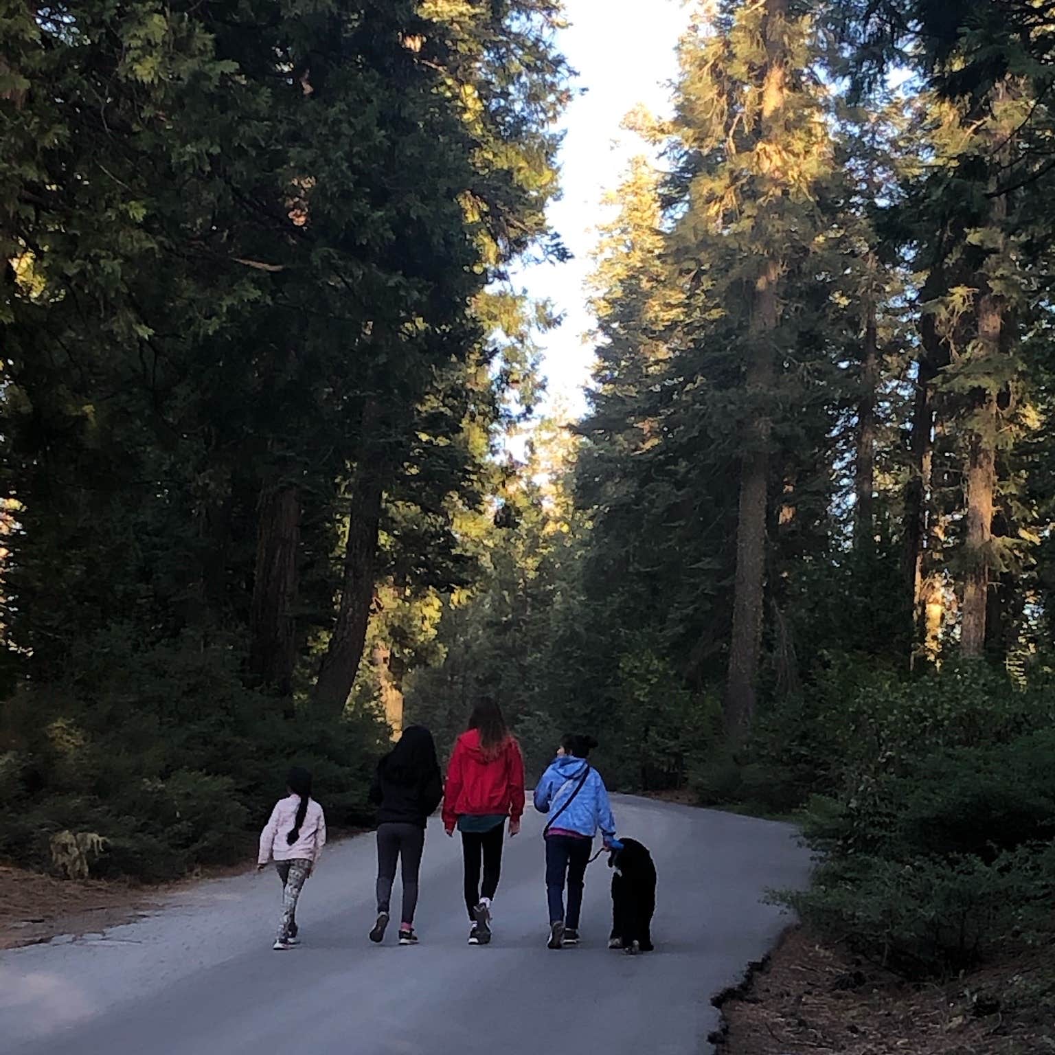Thousand Trails Snowflower Camping | Emigrant Gap, California