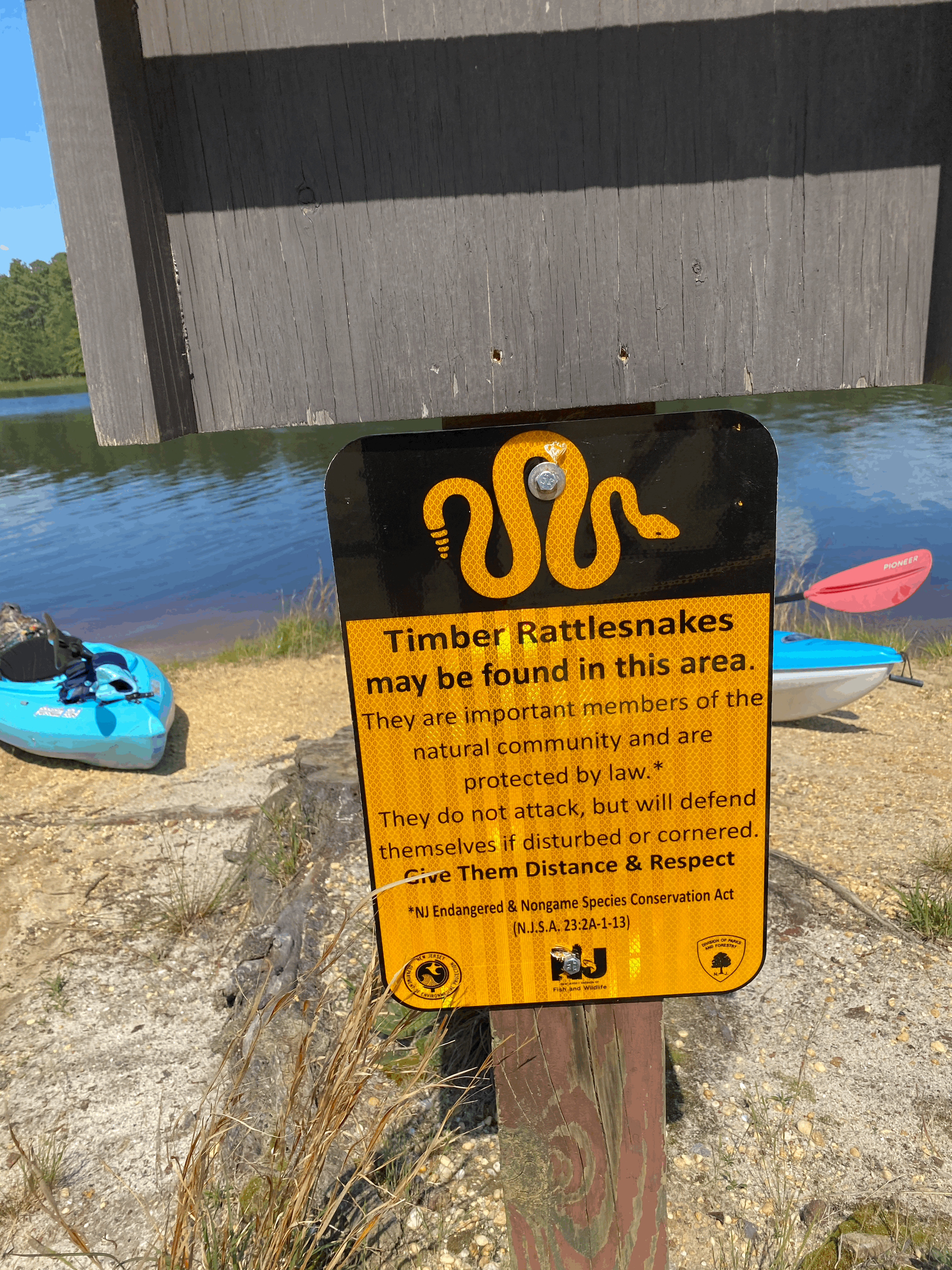 Bass River State Forest | The Dyrt