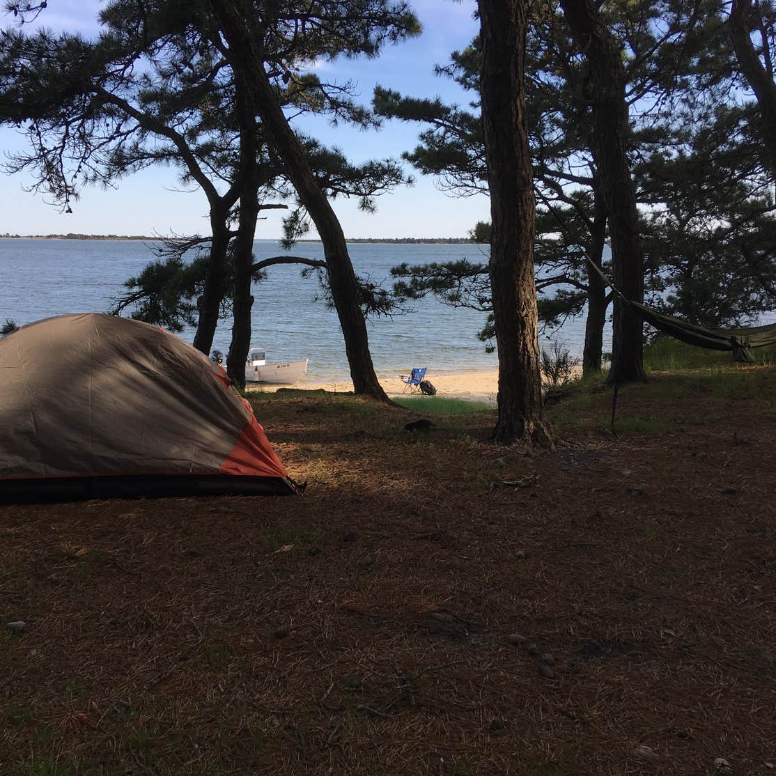 Washburn Island Campsites — Waquoit Bay Reserve | Falmouth, Massachusetts