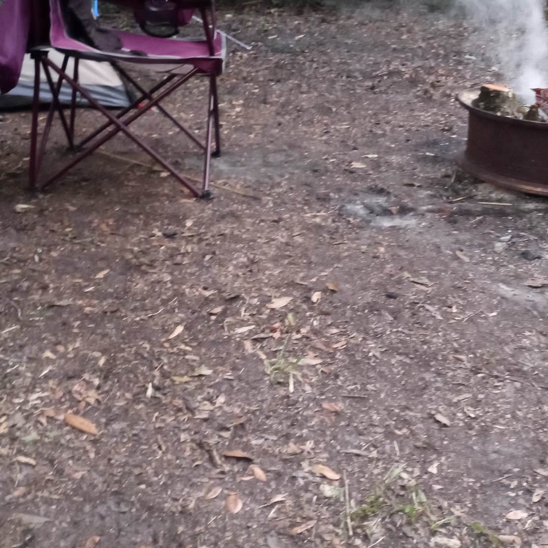 Suwannee River Rendezvous Resort and Campground | Mayo, Florida