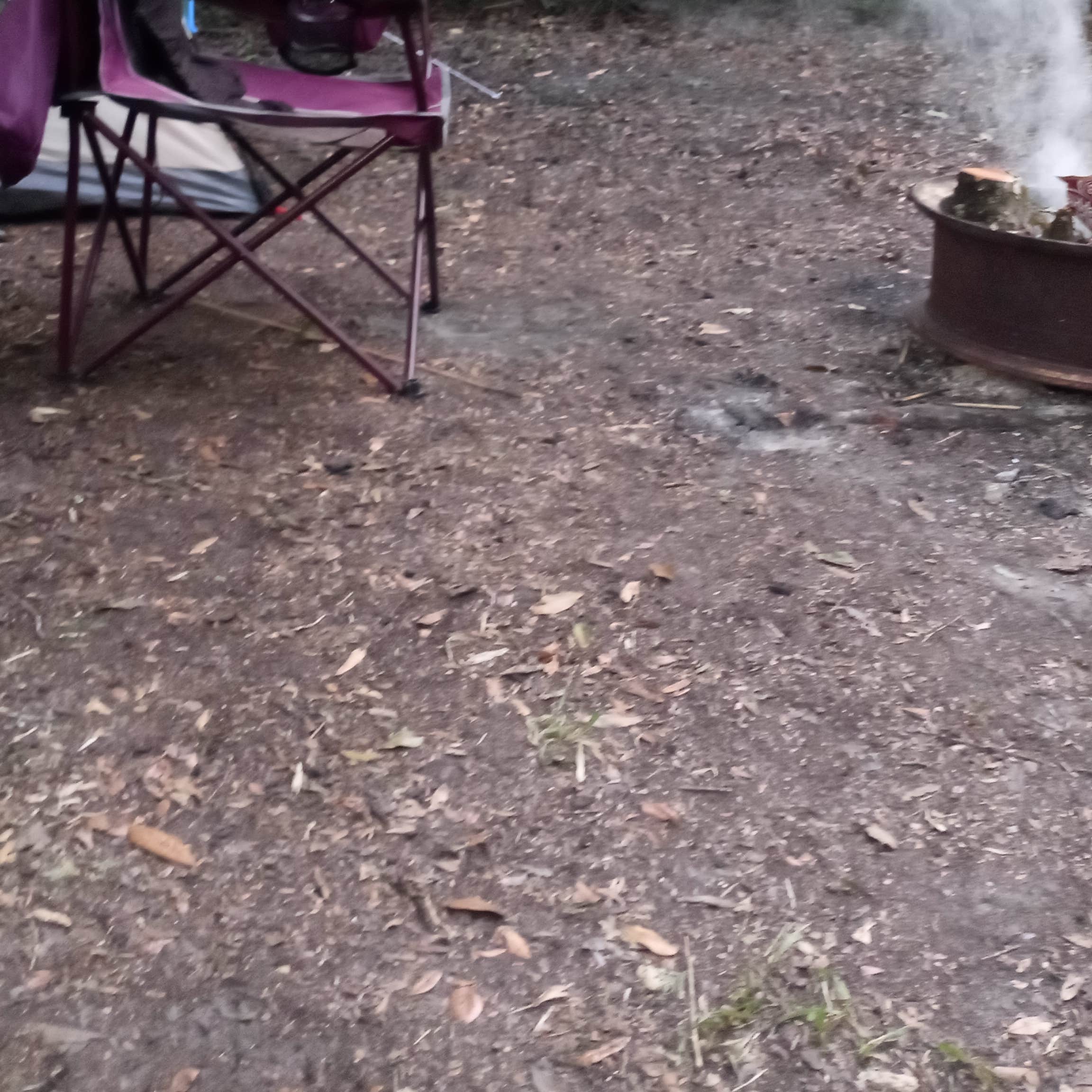 Suwannee River Rendezvous Resort and Campground | Mayo, Florida