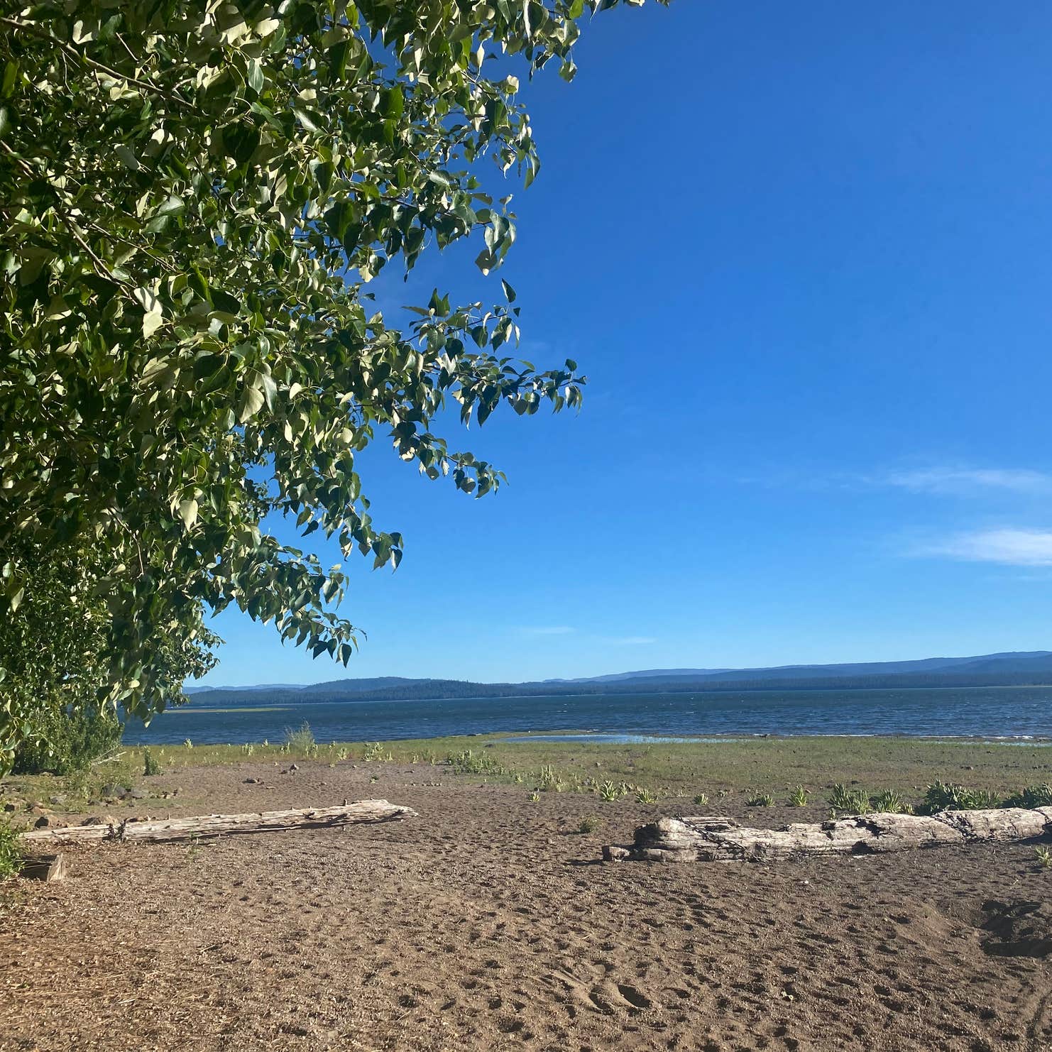 North Shore Campground - Lake Almanor | Cedar Glen, California