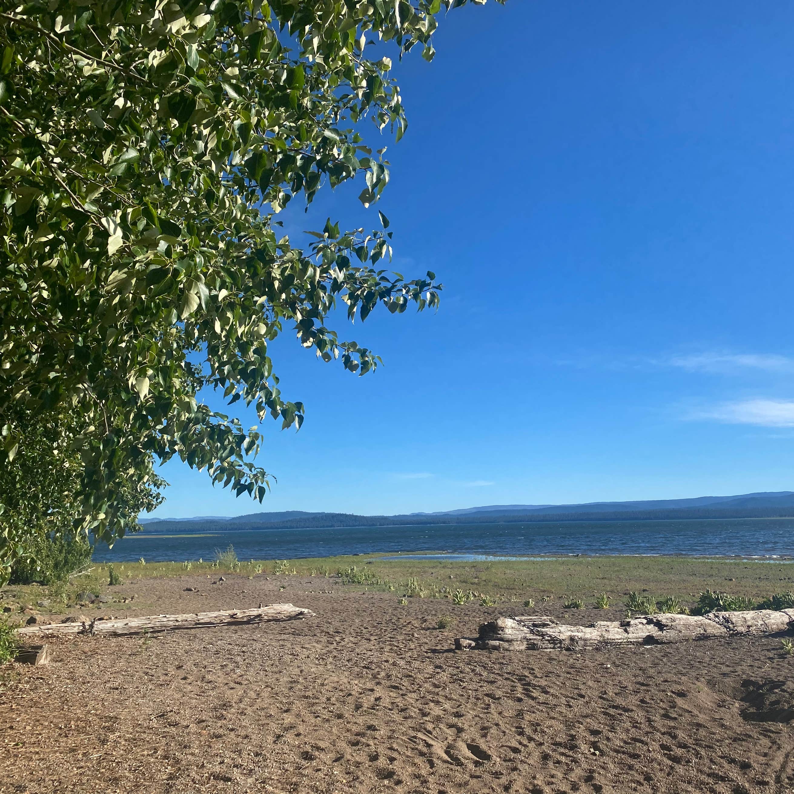 North Shore Campground - Lake Almanor | Cedar Glen, California