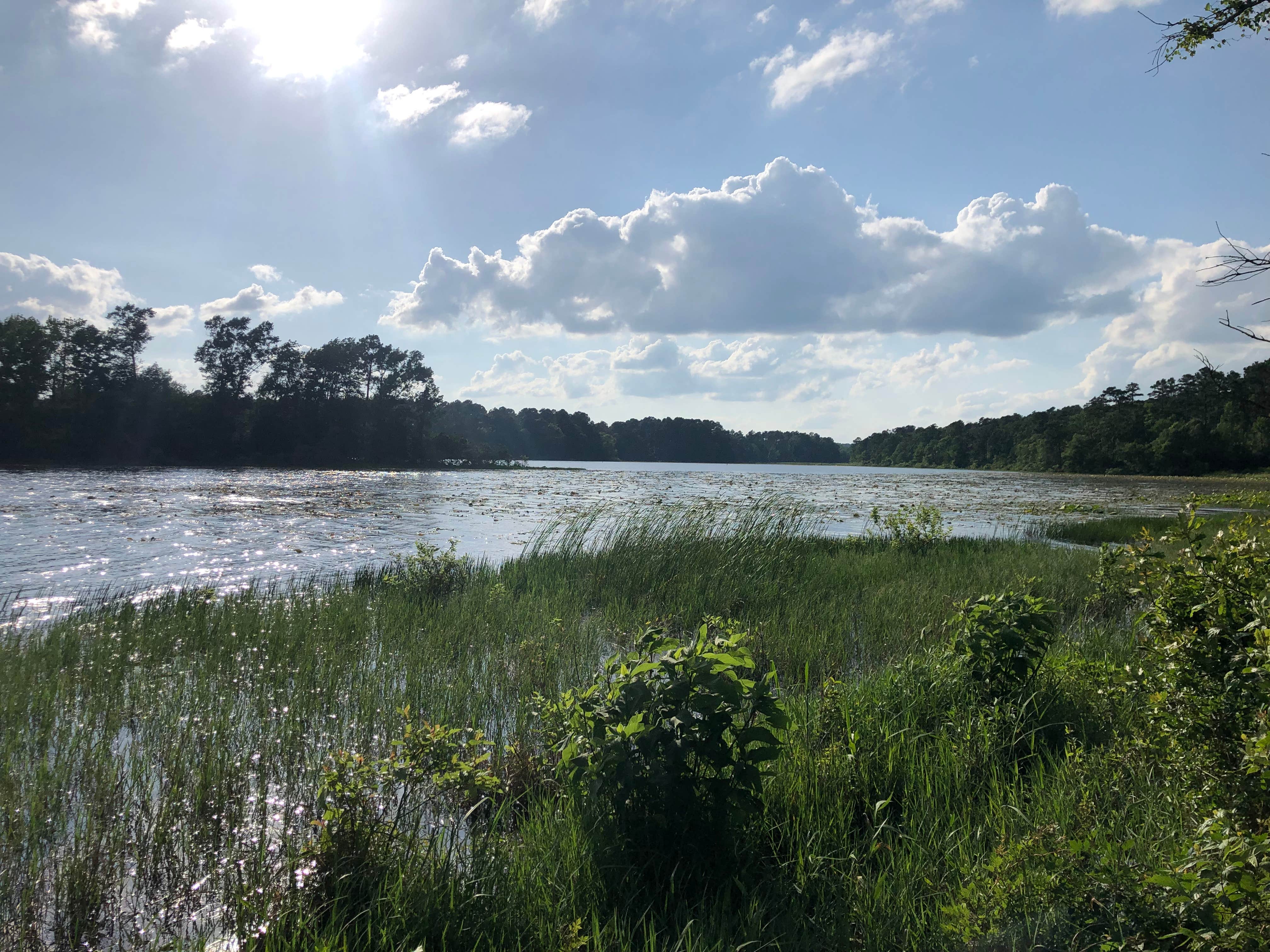 Martin Creek Lake | The Dyrt