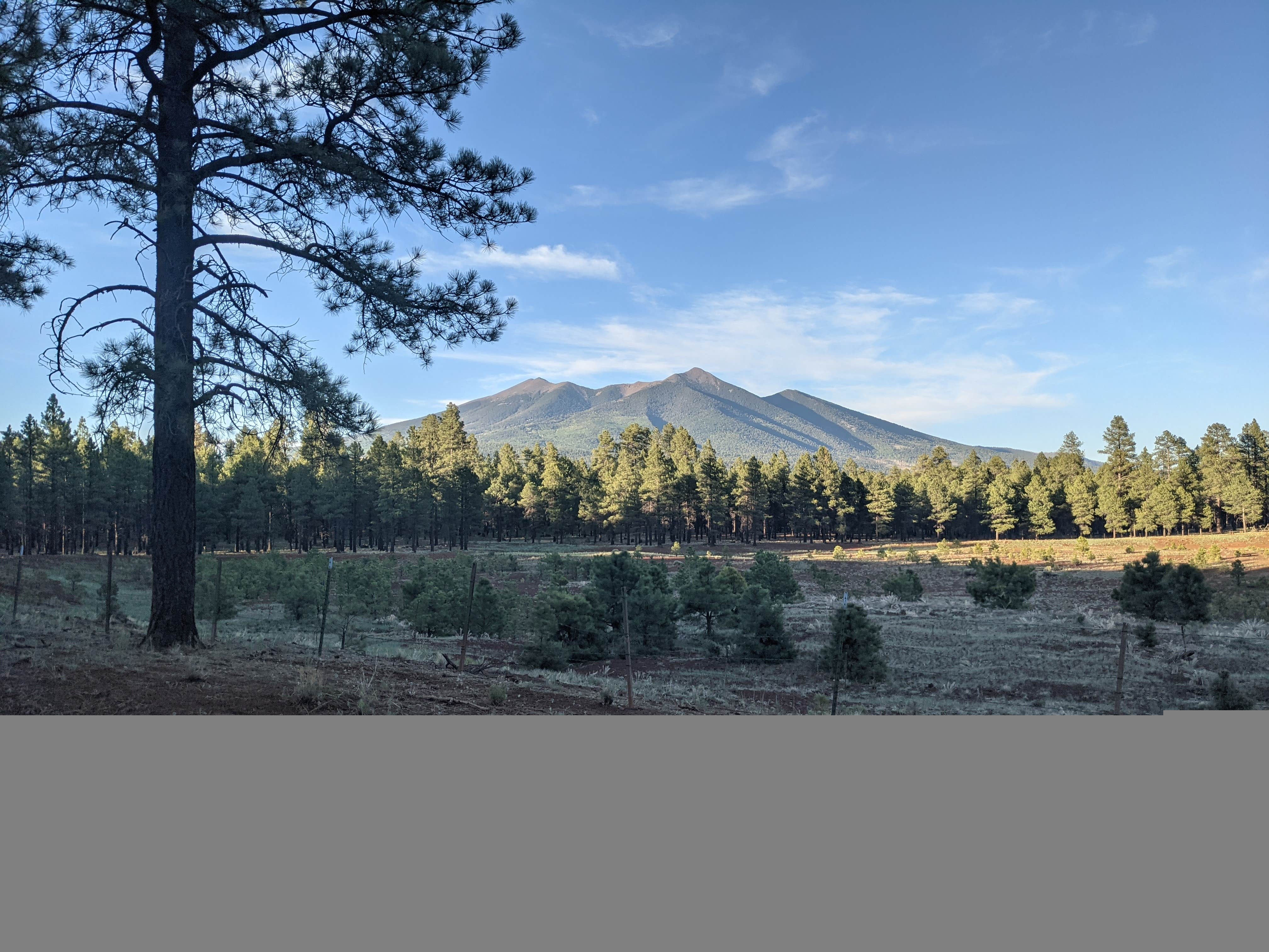 Wing Mountain Dispersed Camping | Bellemont, AZ