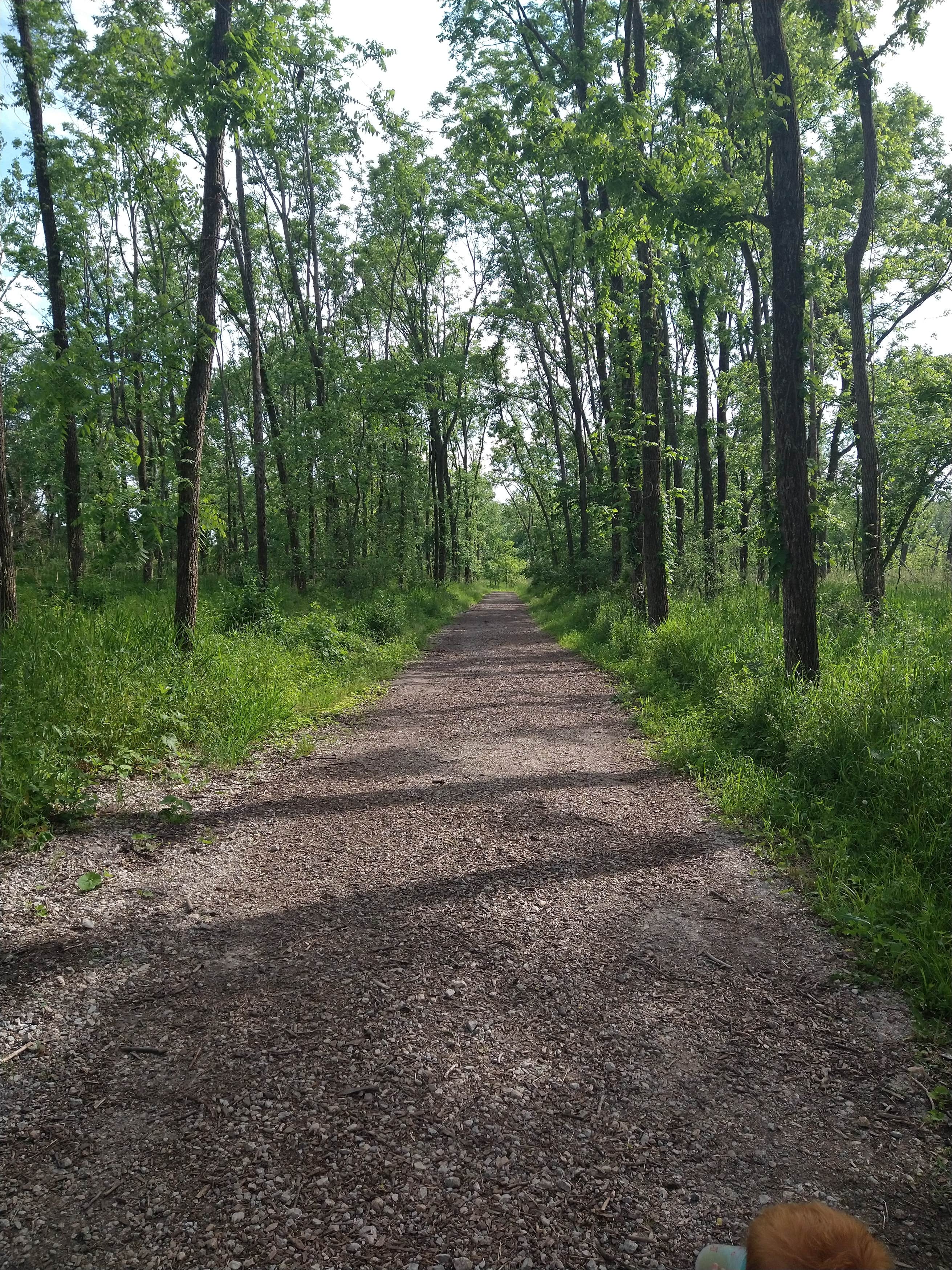 Morgan Creek County Park Camping | Palo, Iowa