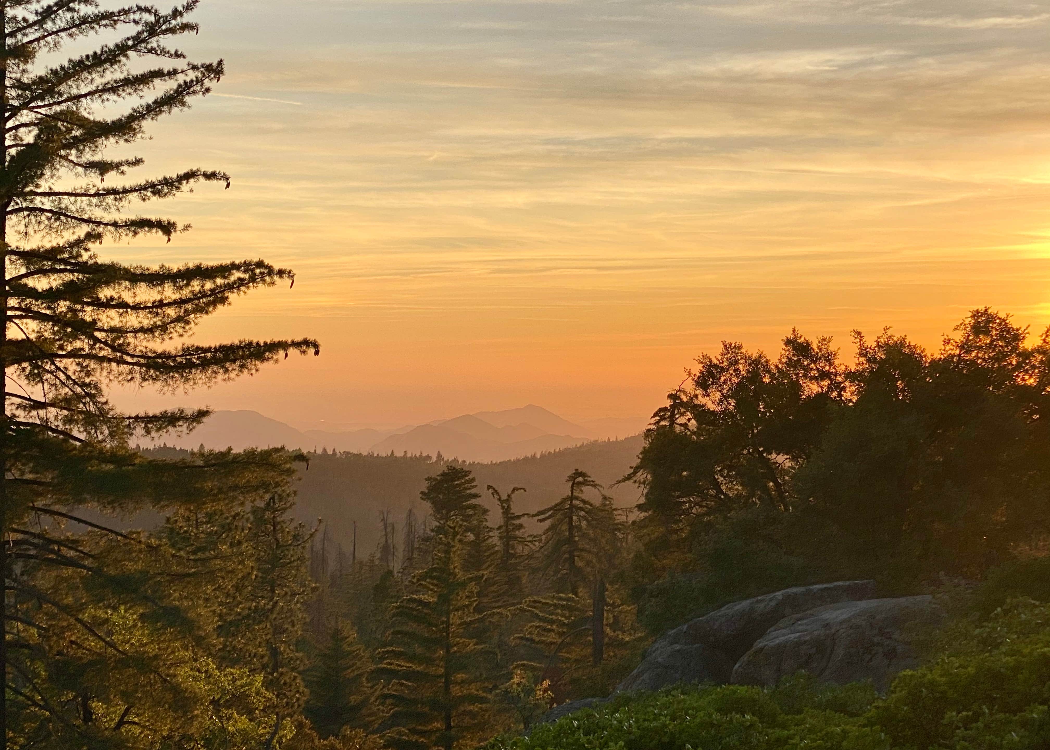 Sunset Campground - Kings Canyon National Park Camping | The Dyrt