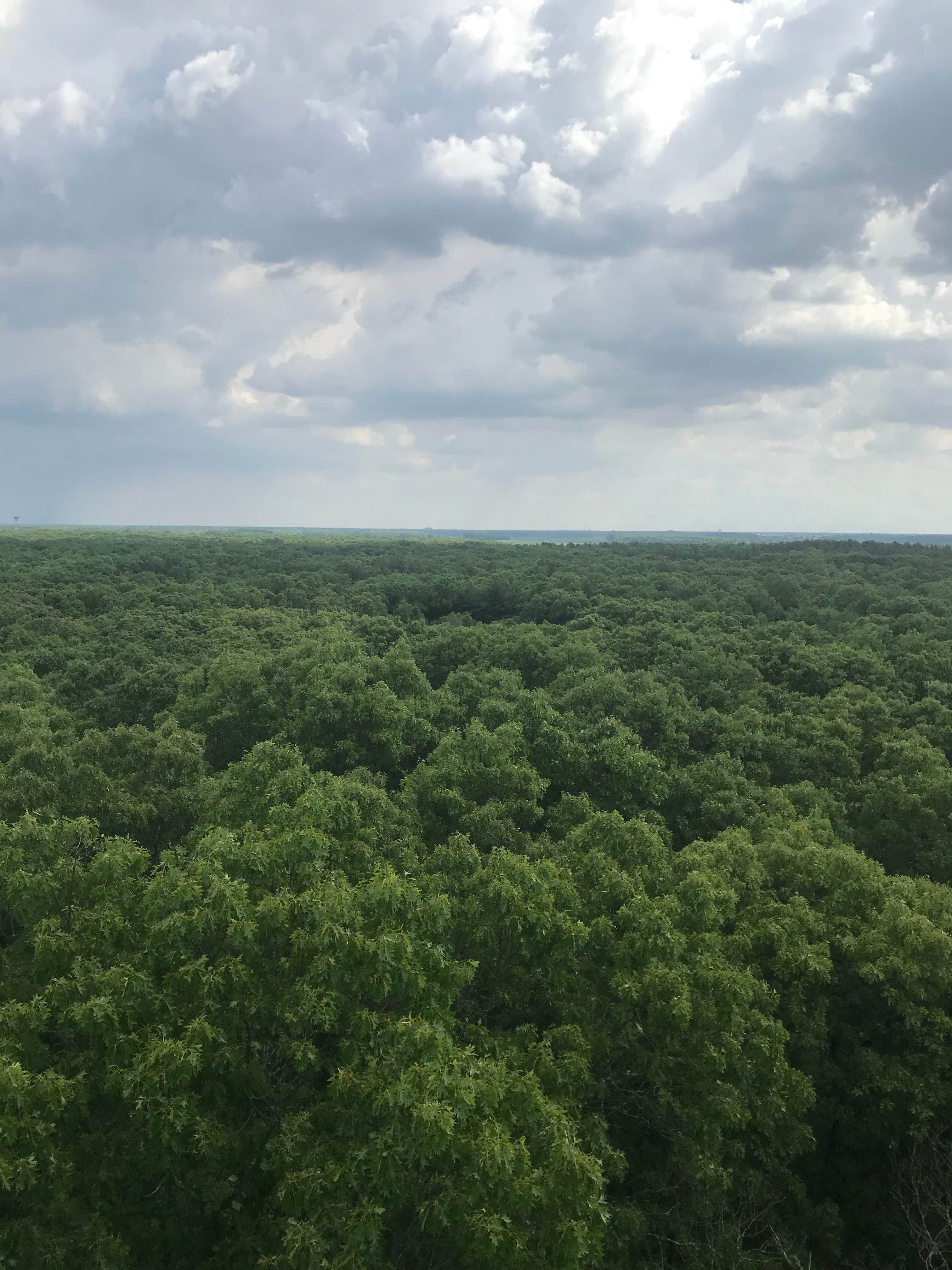 Tippecanoe River State Park Campground | Winamac, IN