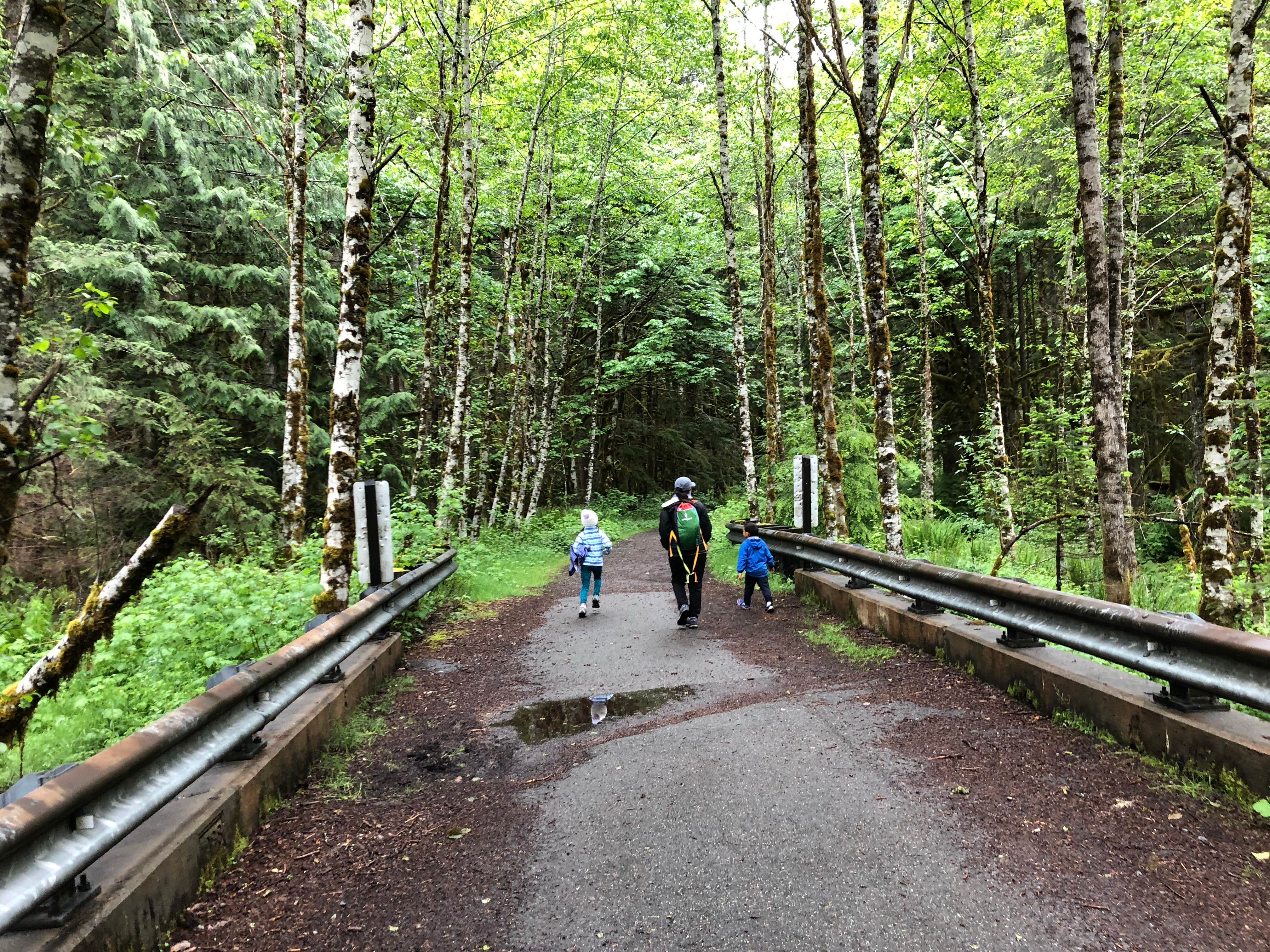 Middle Fork Campground | The Dyrt