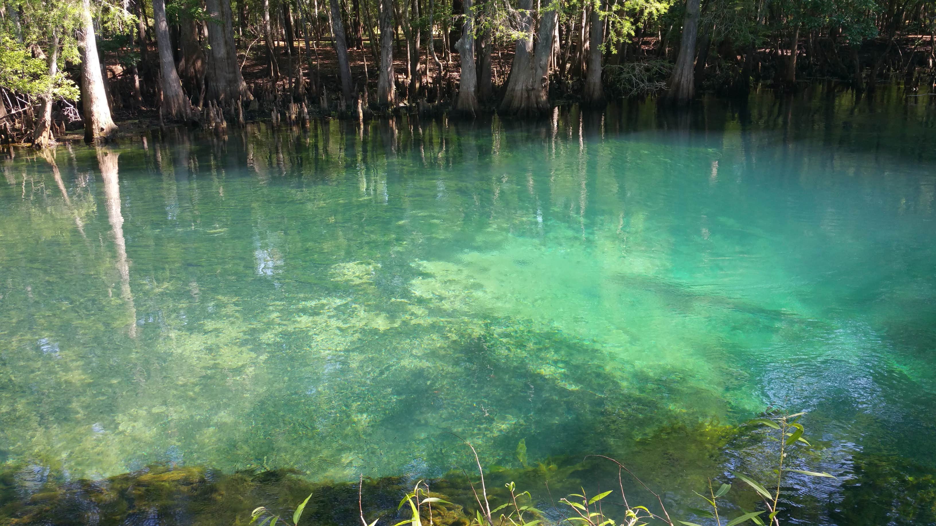 Manatee Springs State Park Campground | Chiefland, Florida