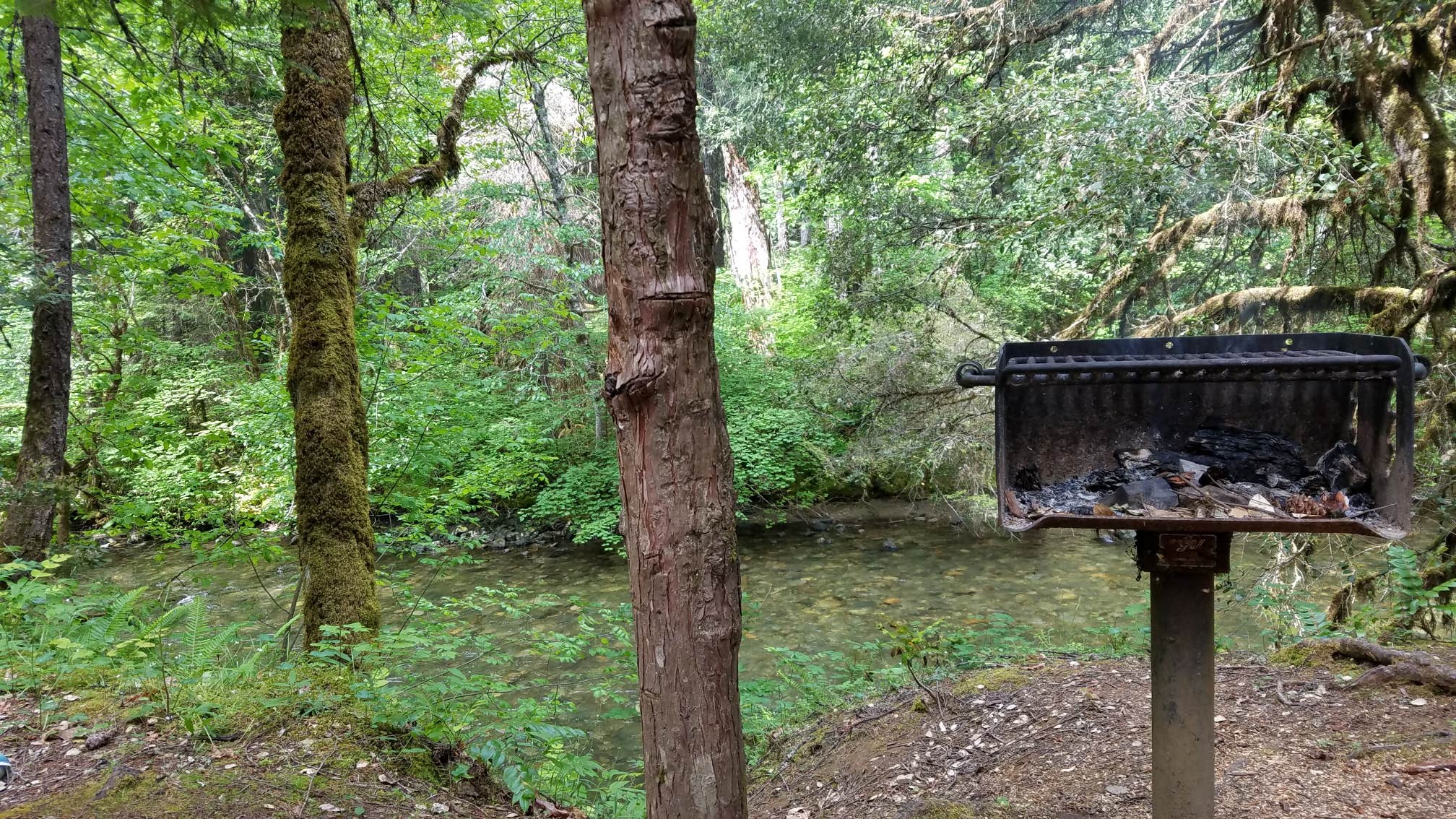 Grayback Campground | Cave Junction, Oregon