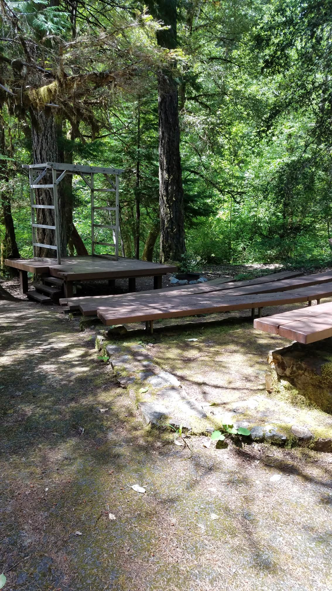 Grayback Campground | The Dyrt