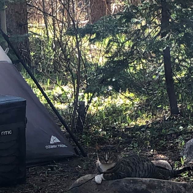 Fall River Campground | Bend, OR