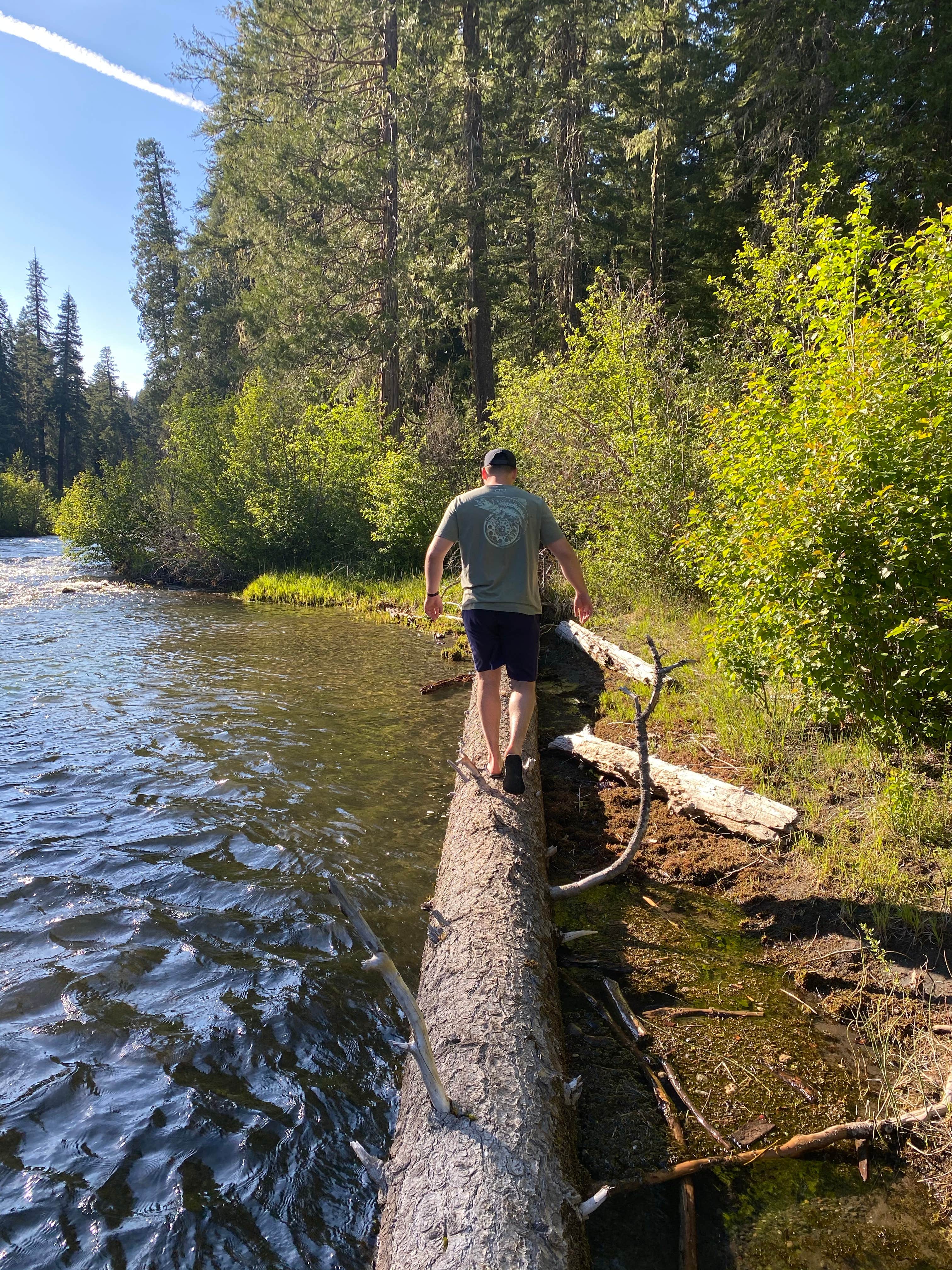 Natural Bridge Campground | The Dyrt