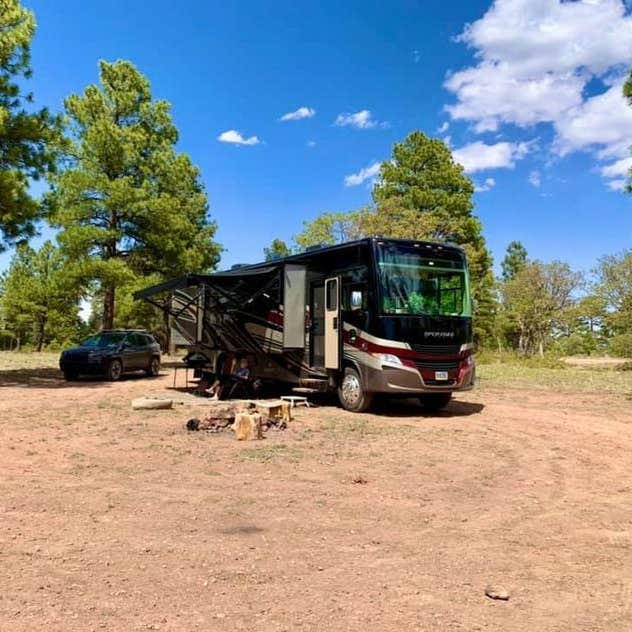 Coconino Rim Road Dispersed Camping Camping | The Dyrt
