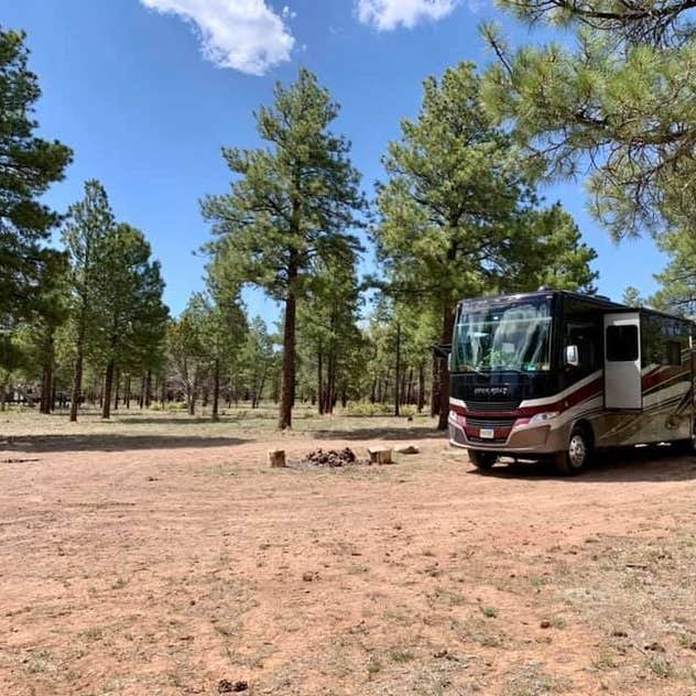 Coconino Rim Road Dispersed Camping Camping | The Dyrt