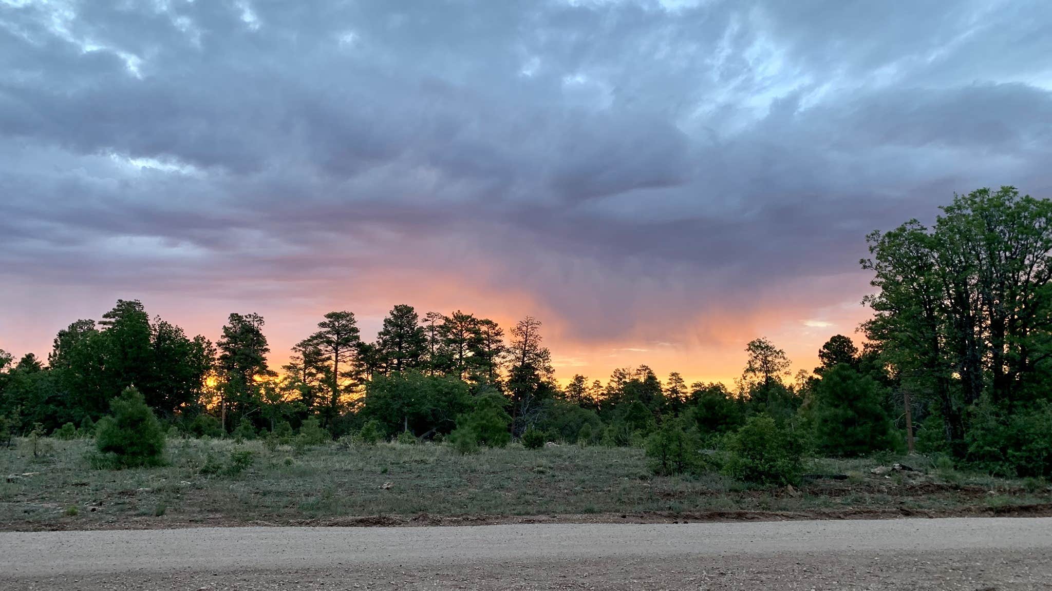 Coconino Rim Road Dispersed Camping | Grand Canyon, Arizona