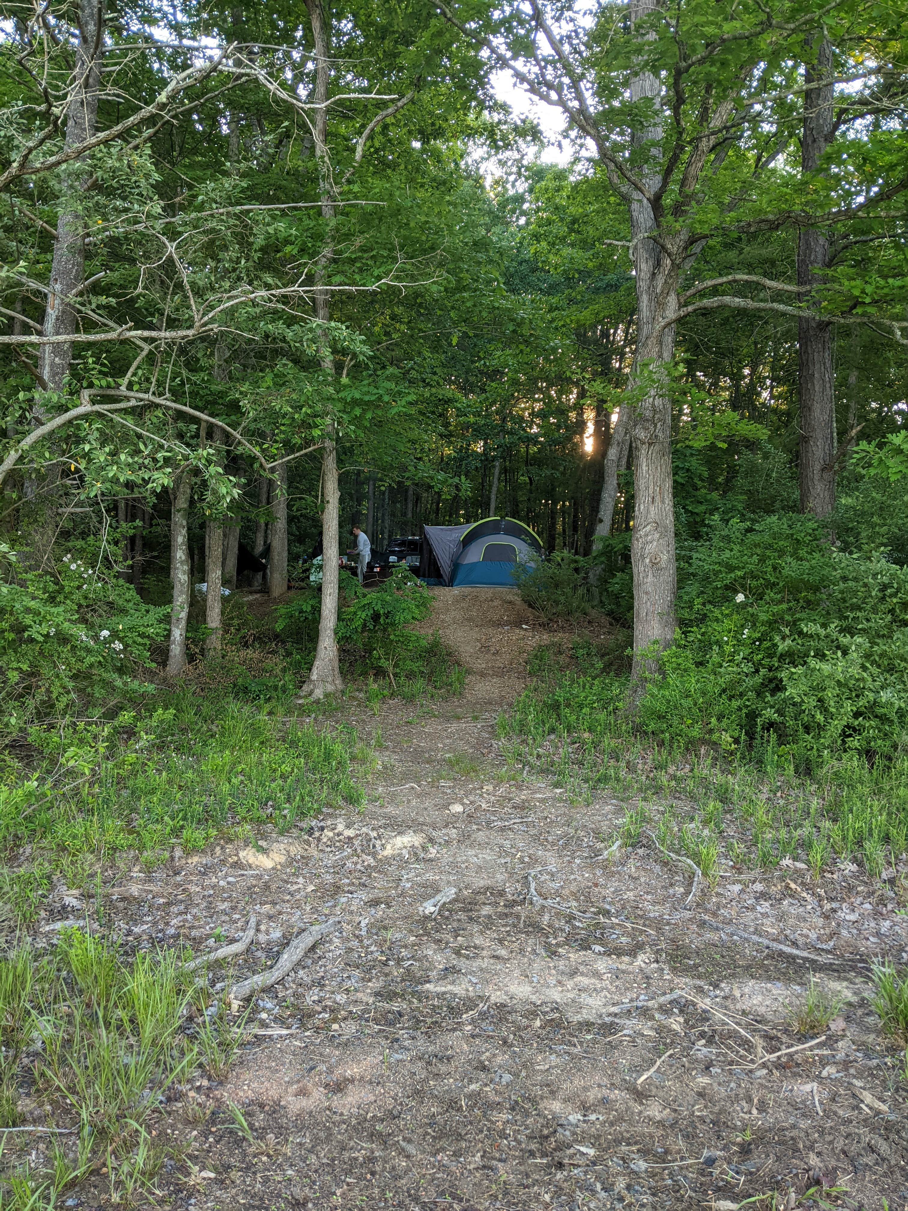 Bolar Mountain Recreation Area | The Dyrt