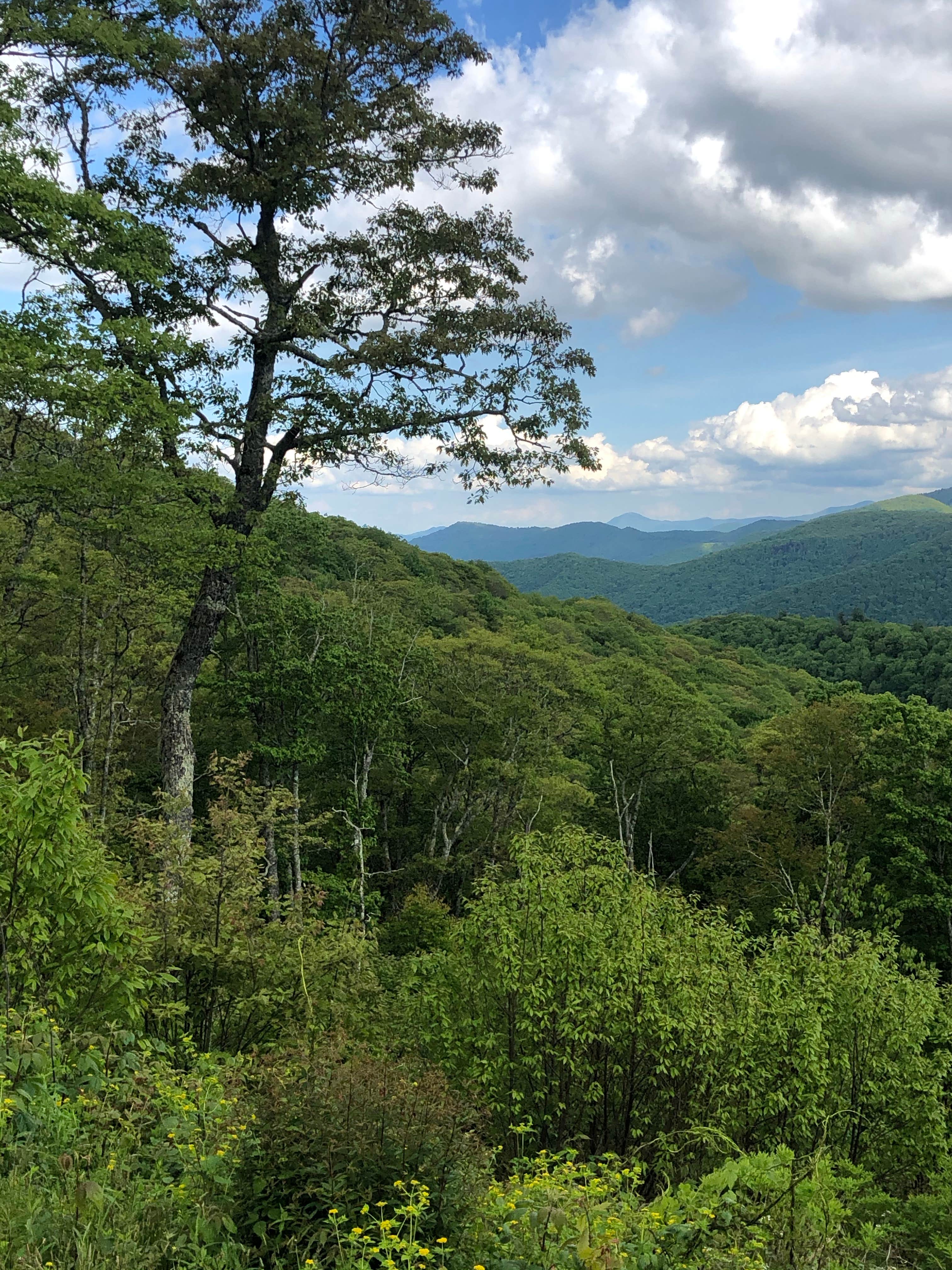 Balsam Mountain Campground | The Dyrt