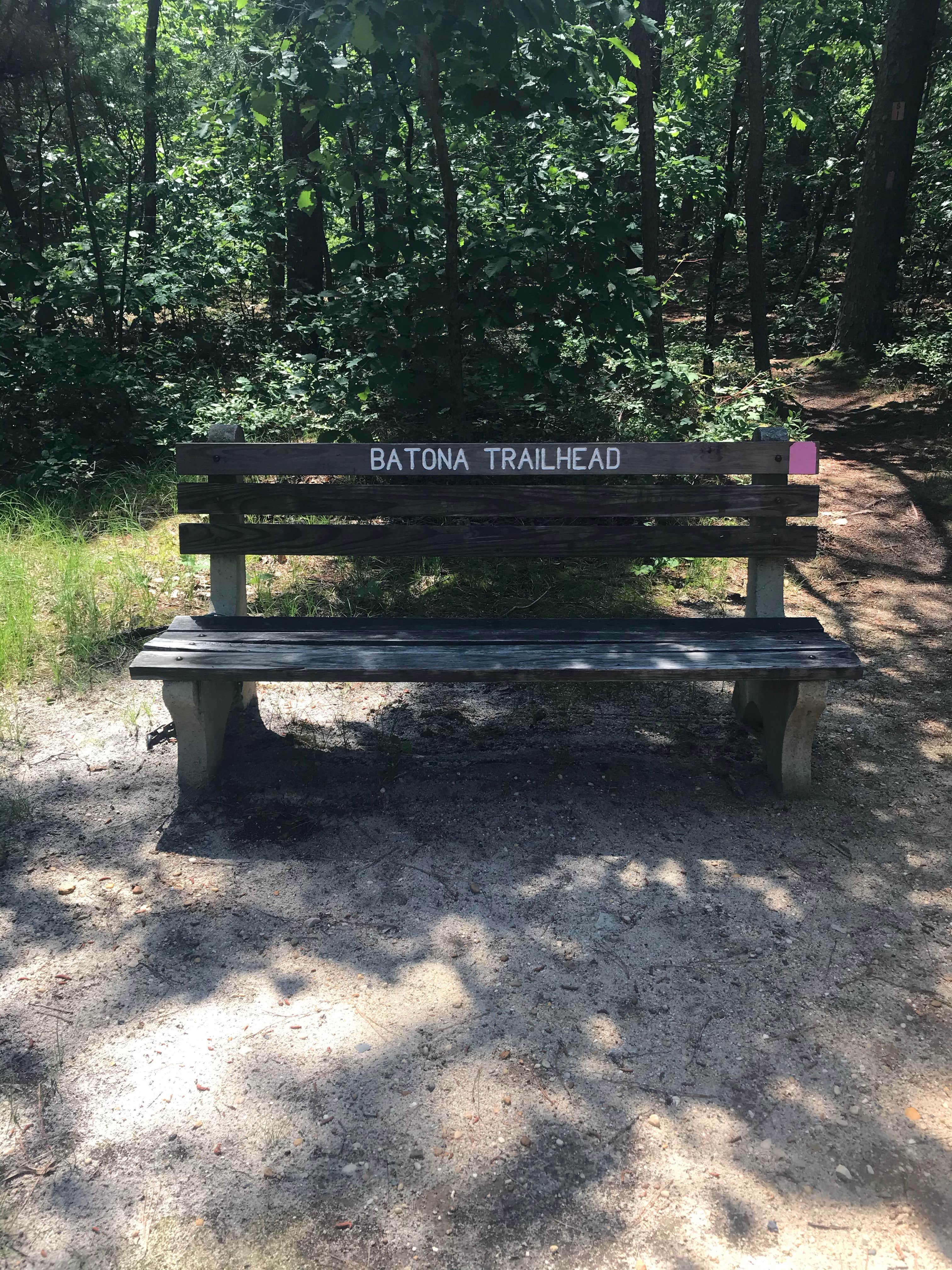 Brendan Byrne State Forest Camping | Woodland, NJ