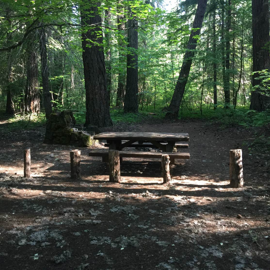 Natural Bridge Campground Camping | The Dyrt