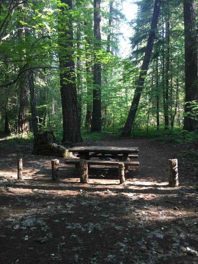 Natural Bridge Campground | The Dyrt