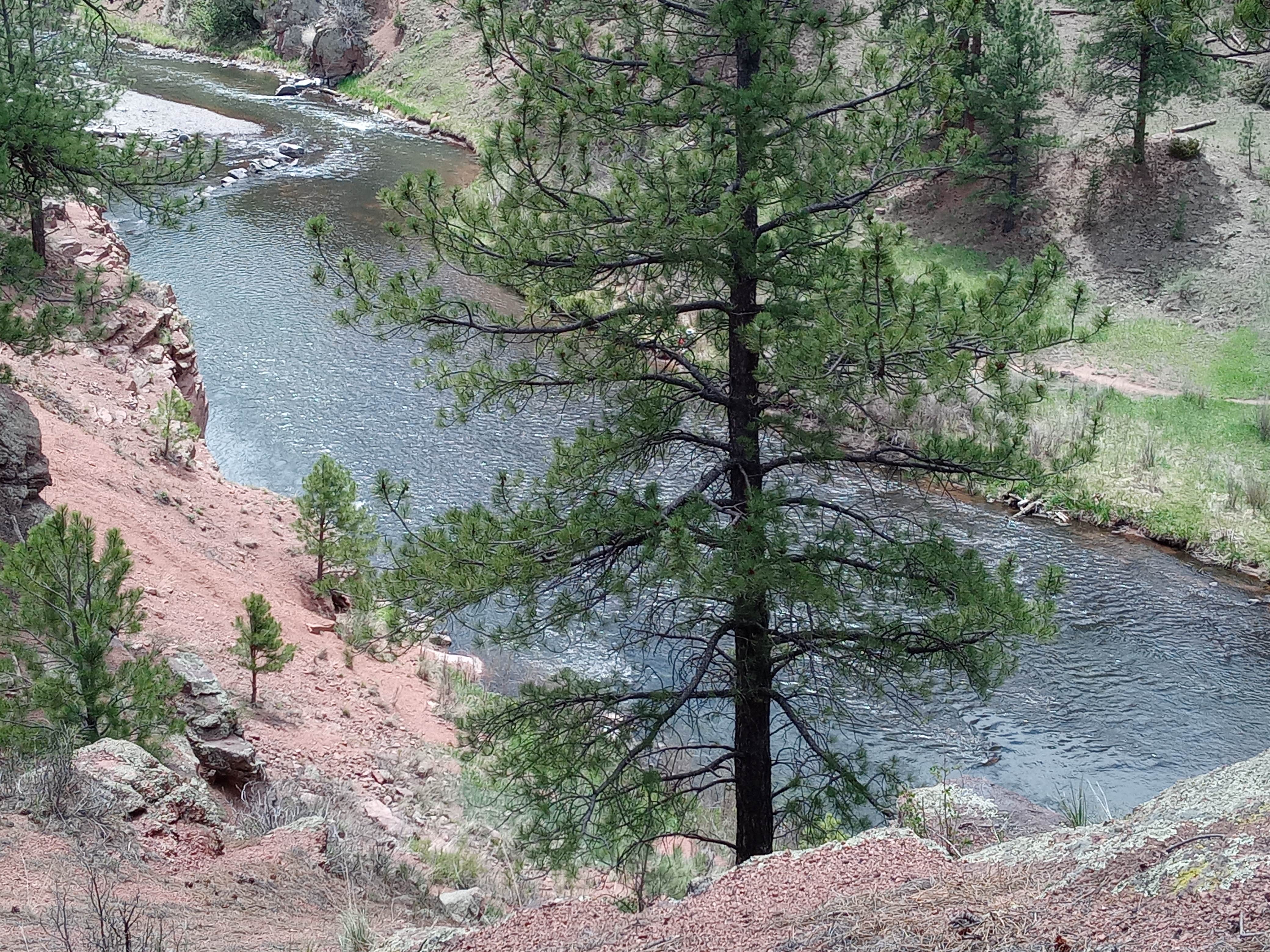 Platte River Campground | The Dyrt