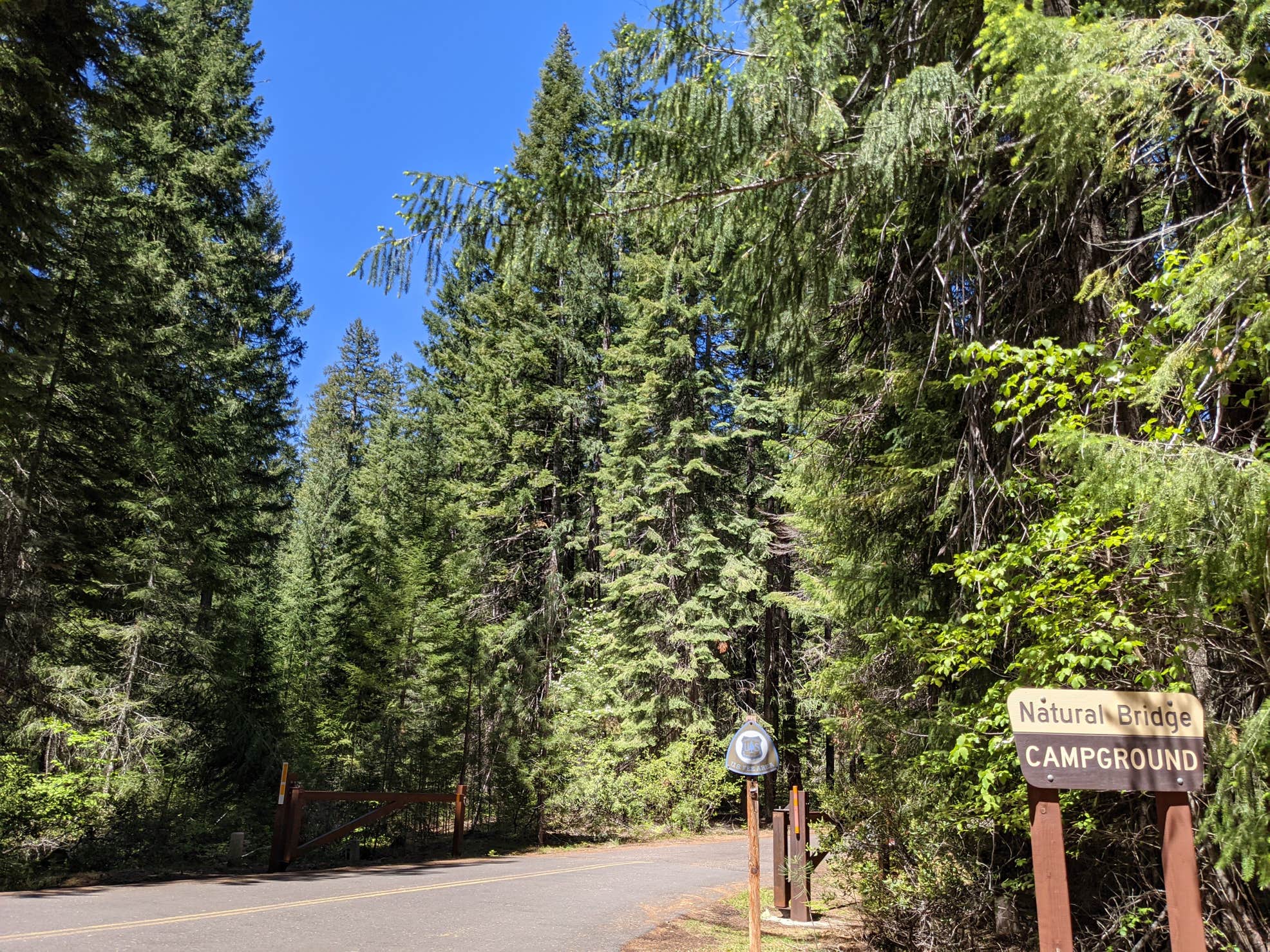 Natural Bridge Campground | The Dyrt