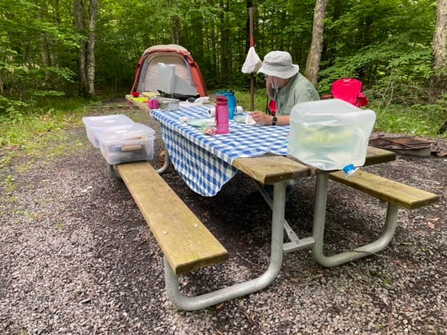 Spruce Knob Lake | The Dyrt