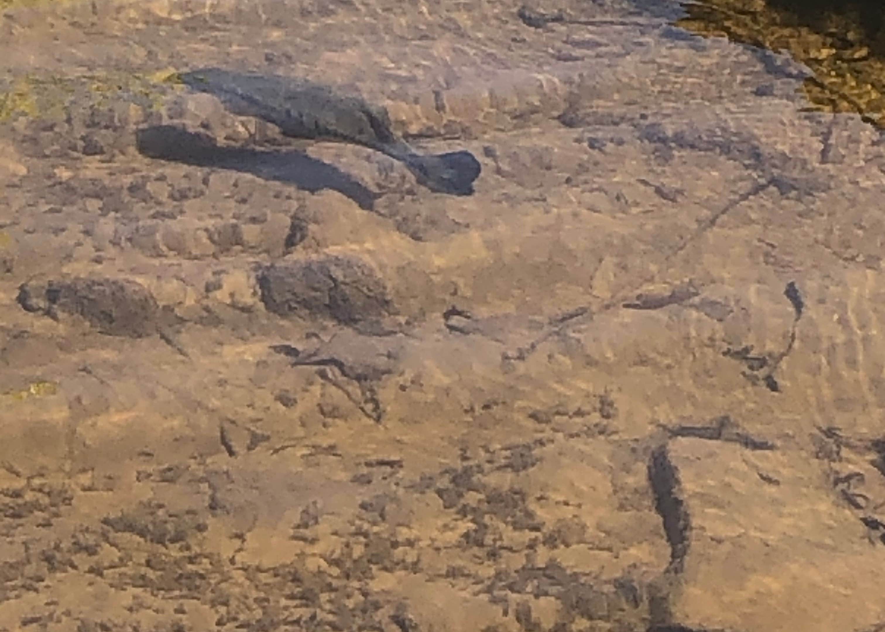 Scaroon Manor Campground Camping | The Dyrt