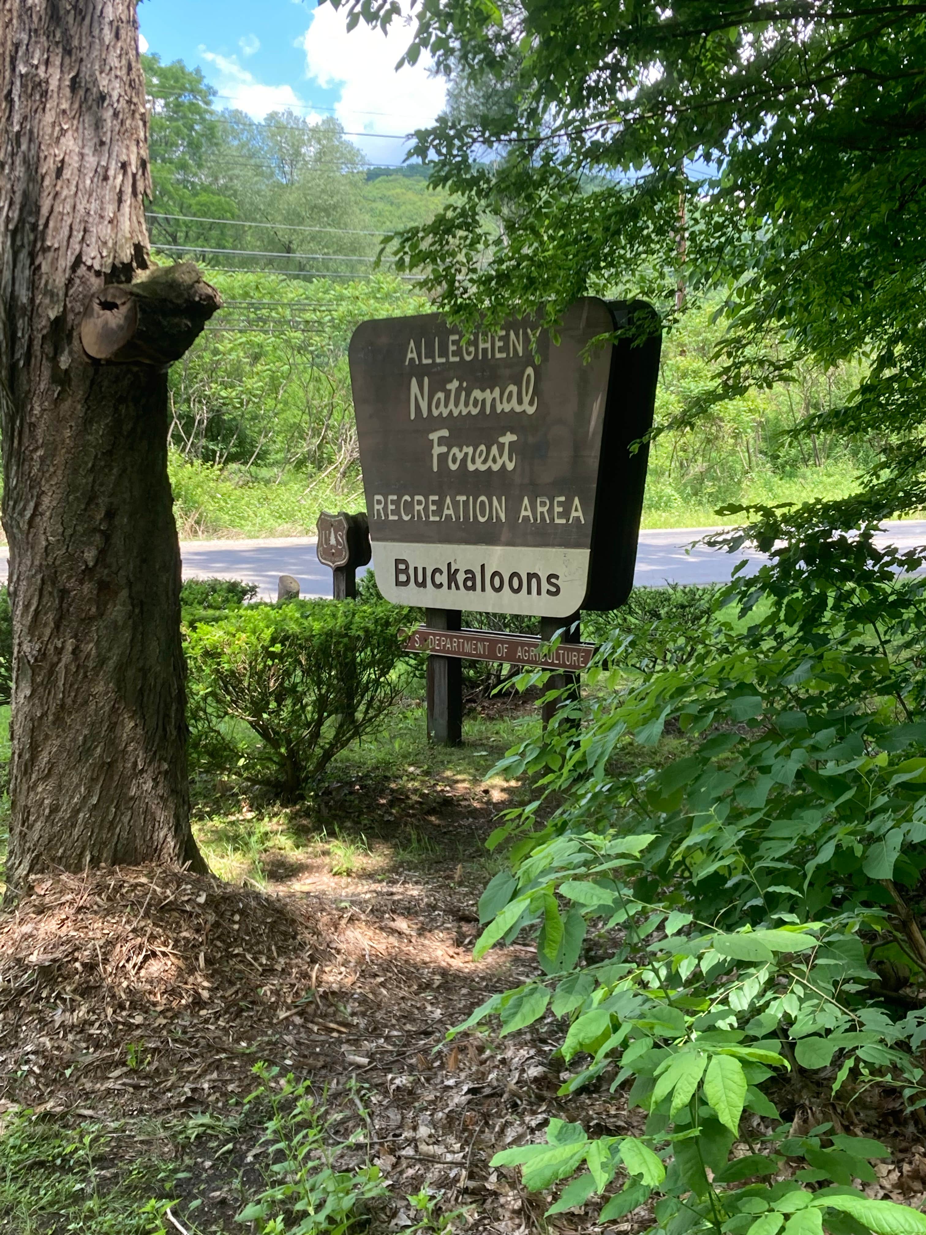 Buckaloons | The Dyrt